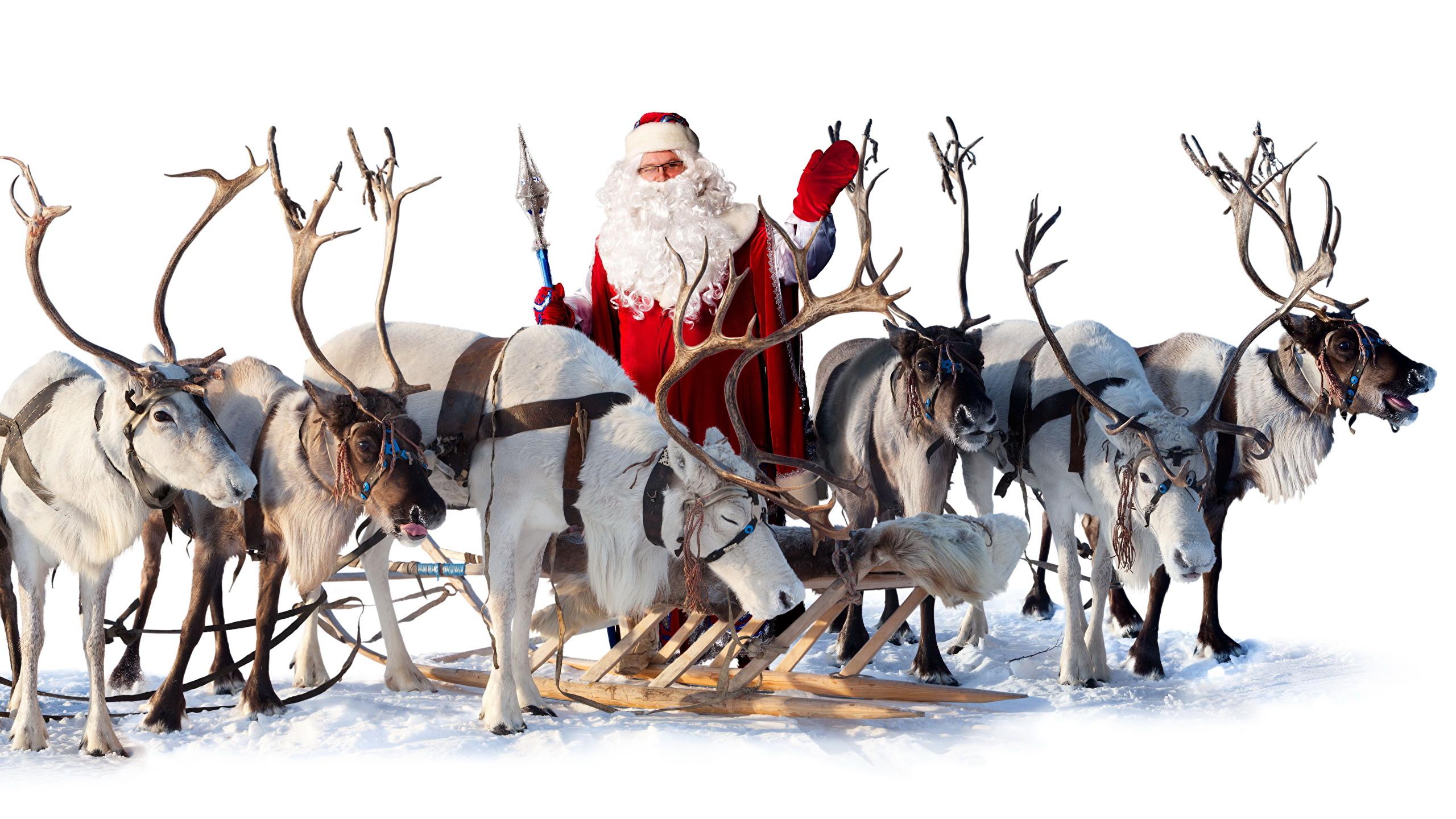 Christmas Sled Wallpapers - Top Free Christmas Sled Backgrounds ...