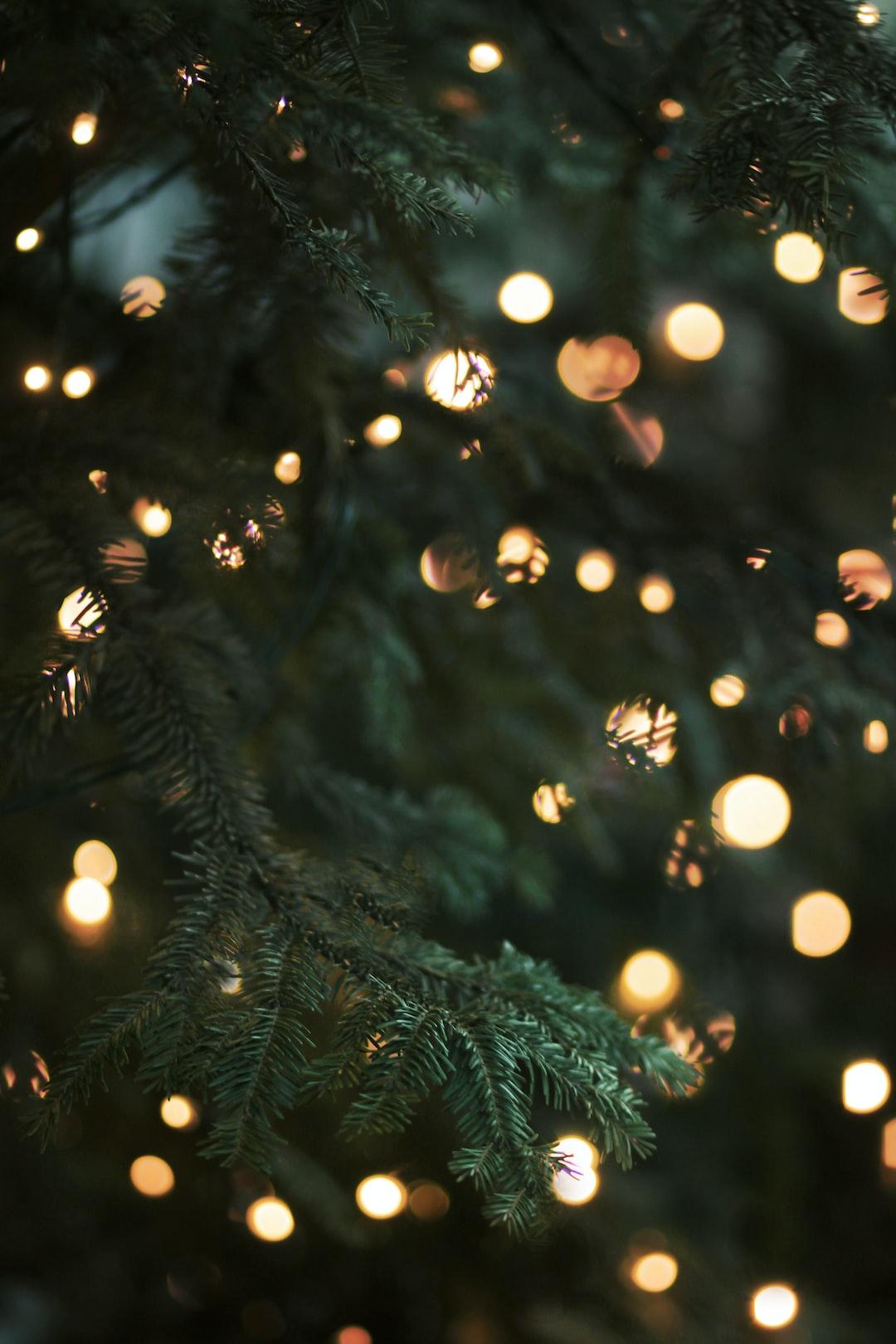 Indoor Christmas Tree Wallpapers - Top Free Indoor Christmas Tree ...