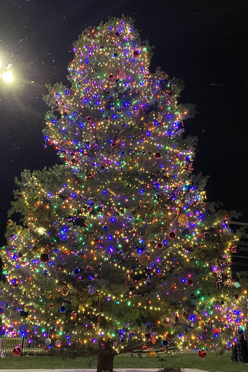 Indoor Christmas Tree Wallpapers - Top Free Indoor Christmas Tree ...