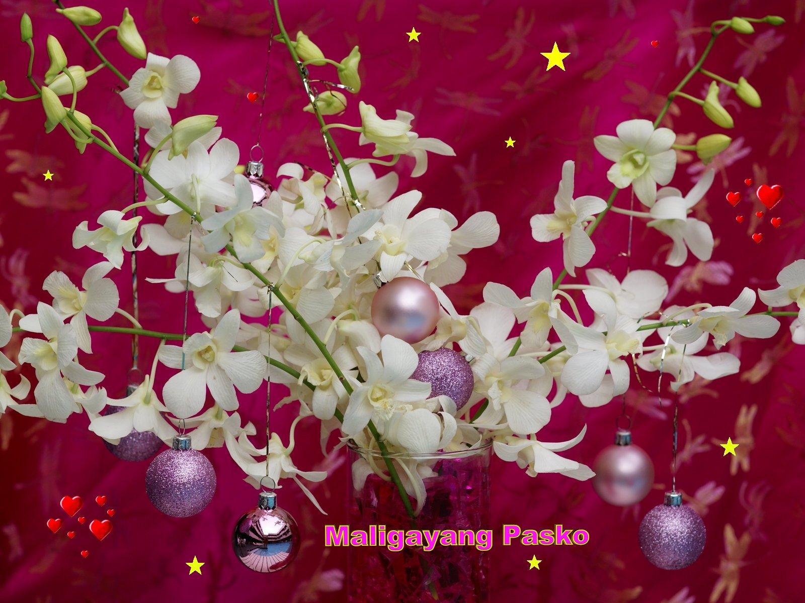 Filipino Christmas Wallpapers - Top Free Filipino Christmas Backgrounds ...