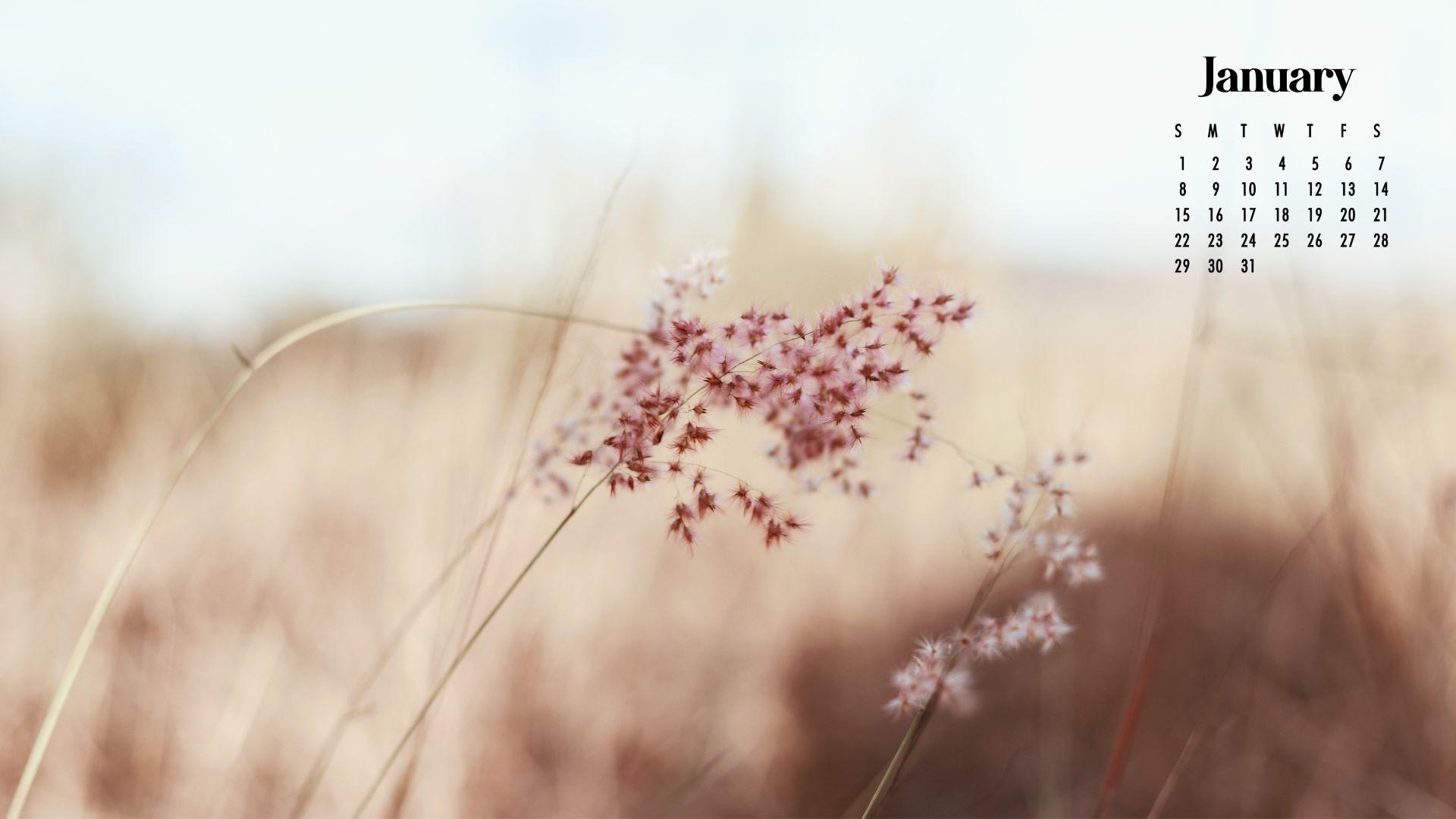 January 2023 Calendar Wallpapers - Top Free January 2023 Calendar ...