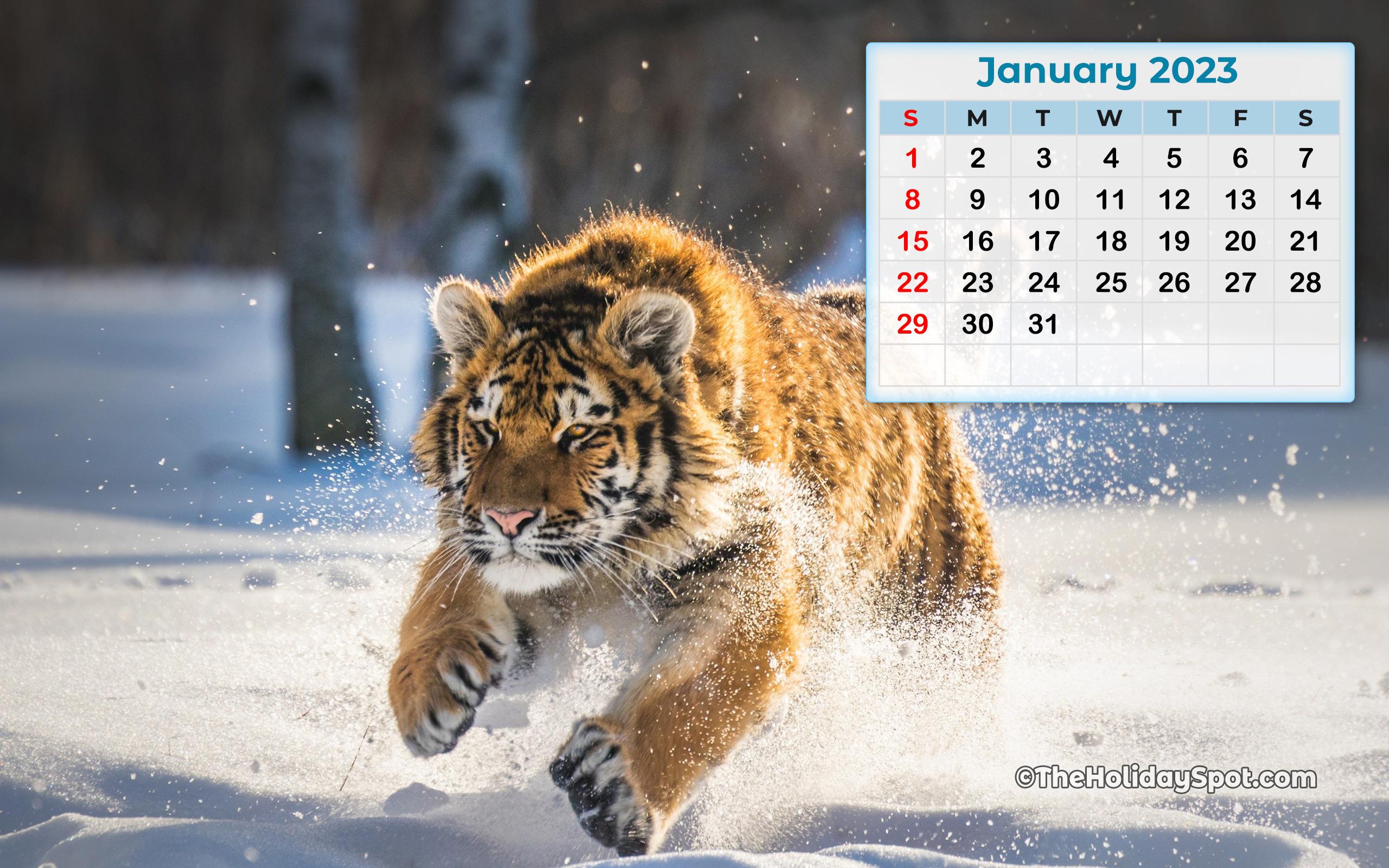 January 2023 Calendar Wallpapers - Top Free January 2023 Calendar ...