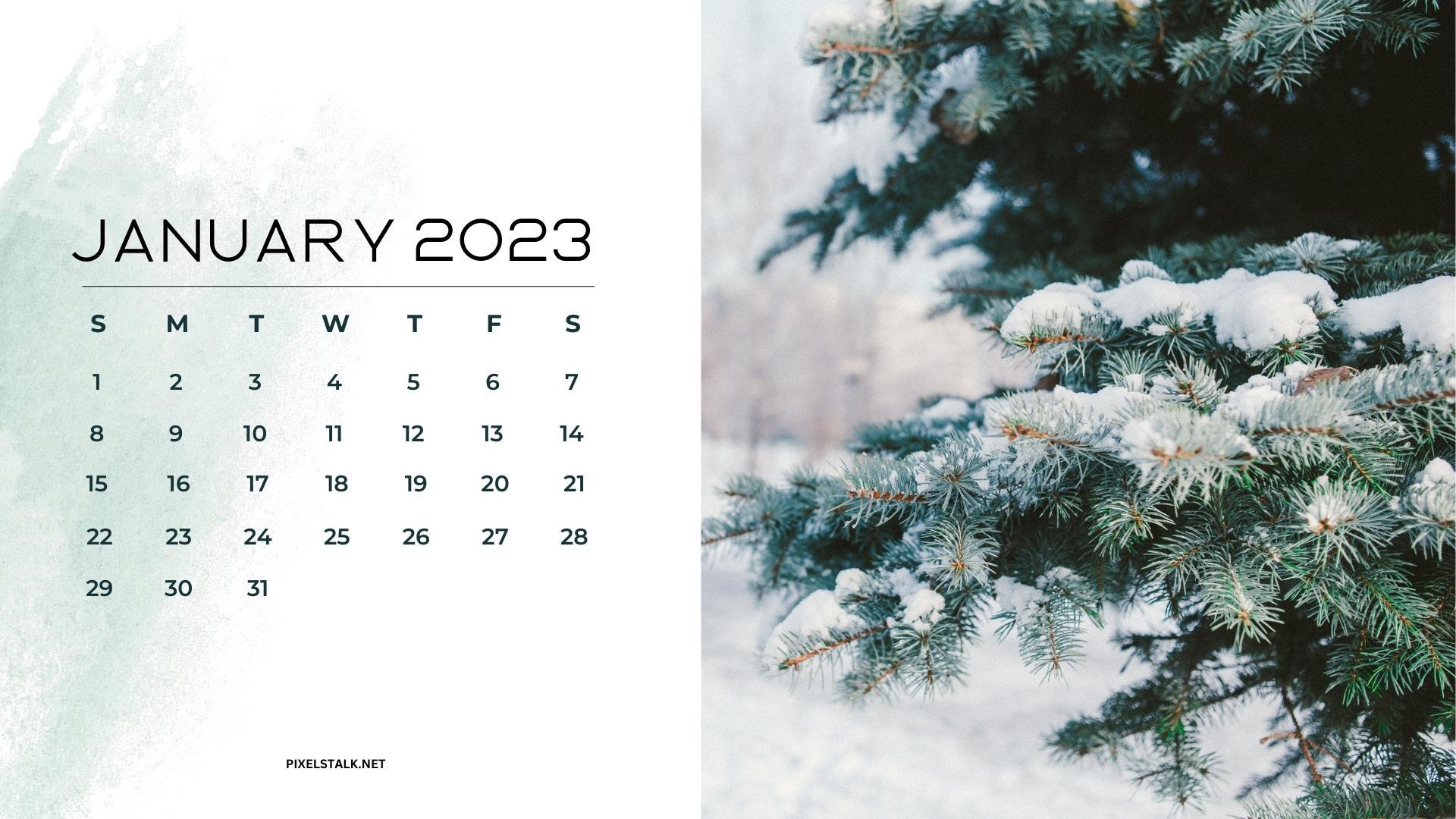 January 2023 Calendar Wallpapers - Top Free January 2023 Calendar ...