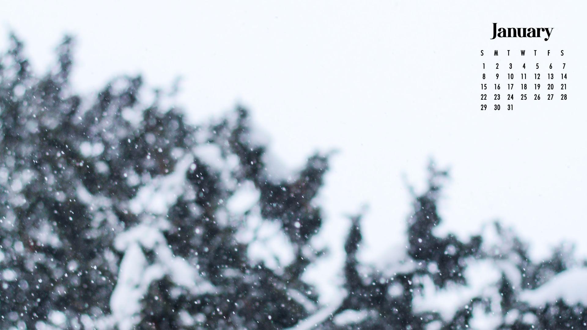 January 2023 Calendar Wallpapers - Top Free January 2023 Calendar ...