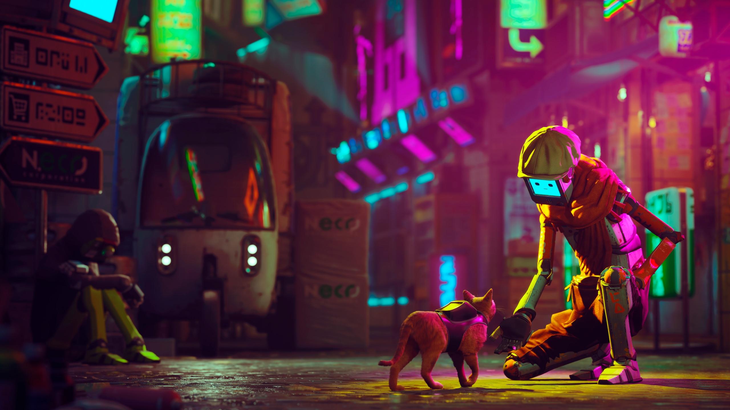 Stray Cat Wallpapers - Top Free Stray Cat Backgrounds - WallpaperAccess