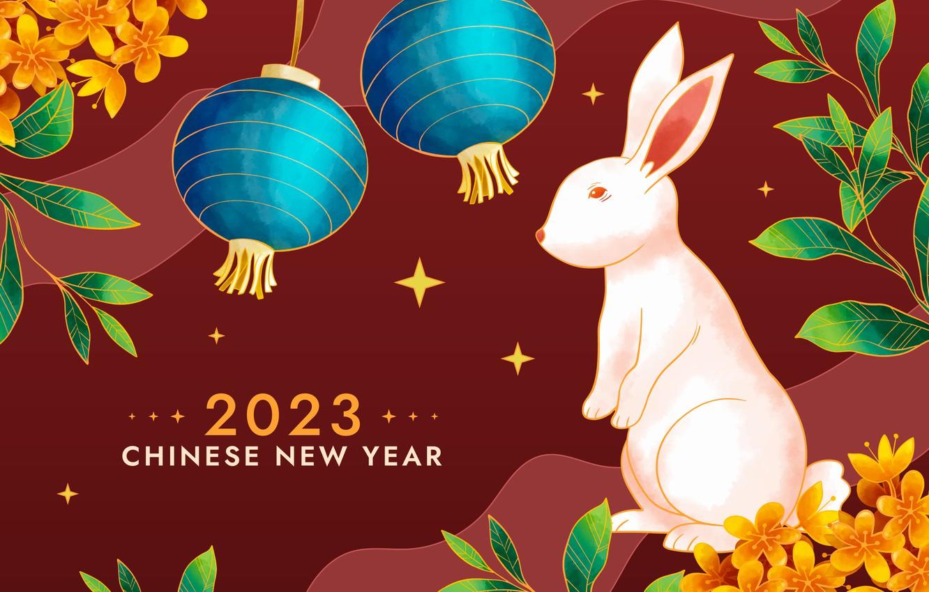 Rabbit Year Wallpapers - Top Free Rabbit Year Backgrounds - WallpaperAccess