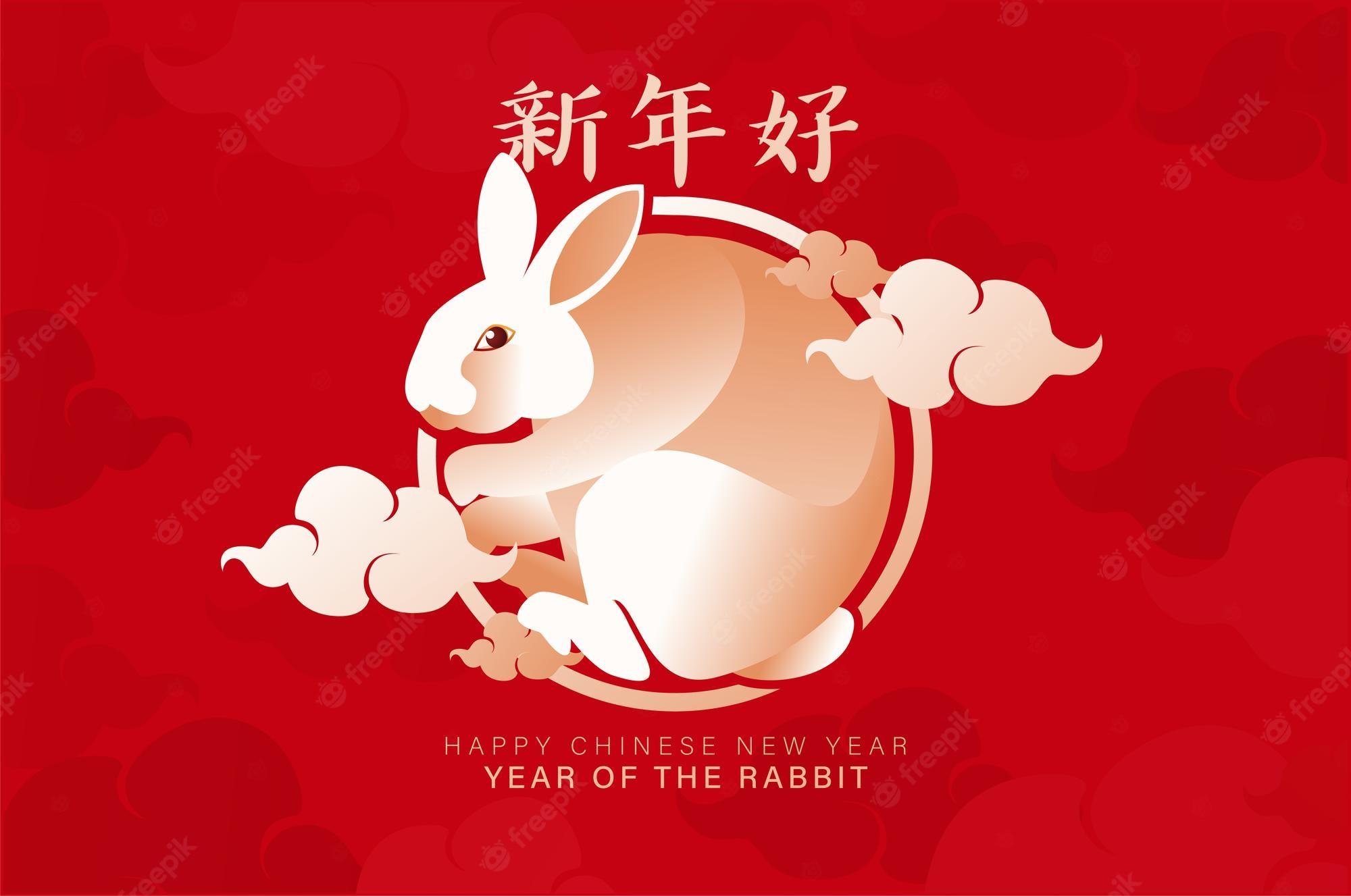 Rabbit Year Wallpapers - Top Free Rabbit Year Backgrounds - WallpaperAccess