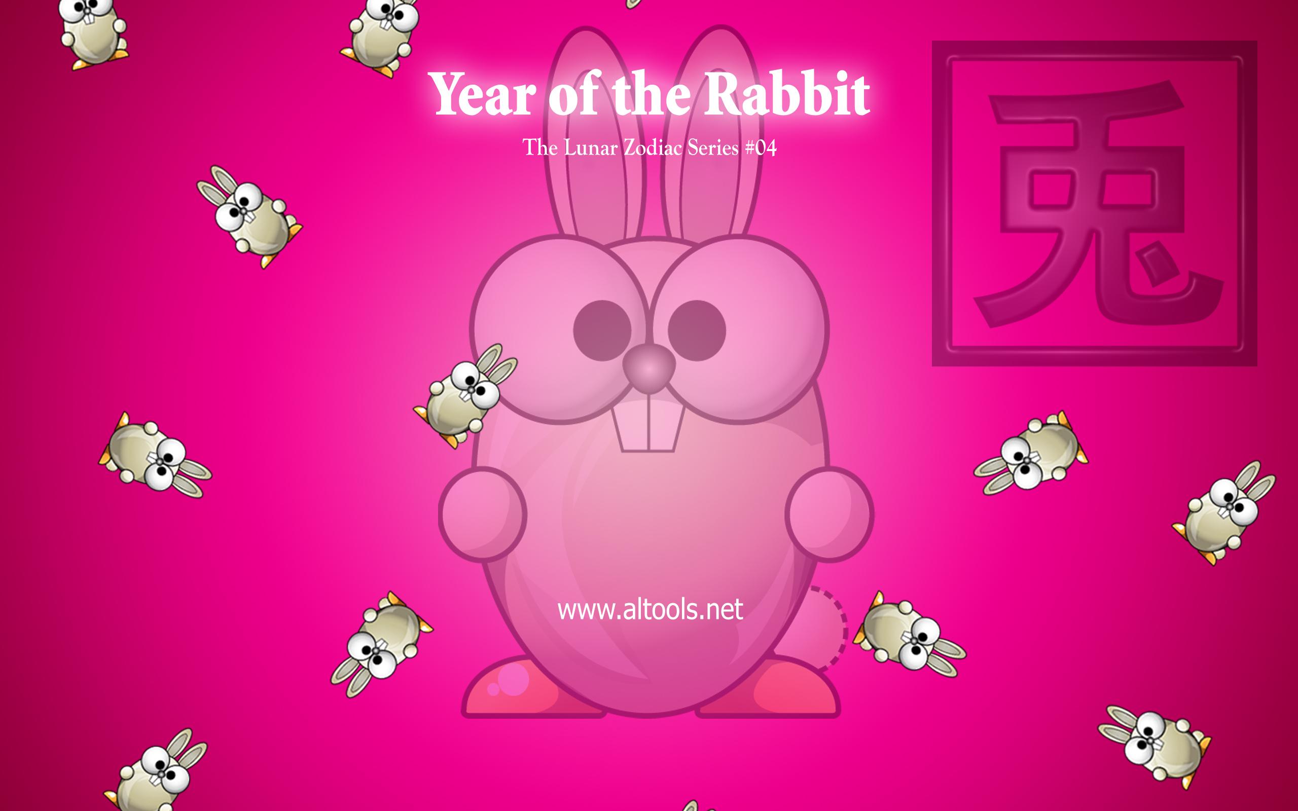 Rabbit Year Wallpapers - Top Free Rabbit Year Backgrounds - WallpaperAccess
