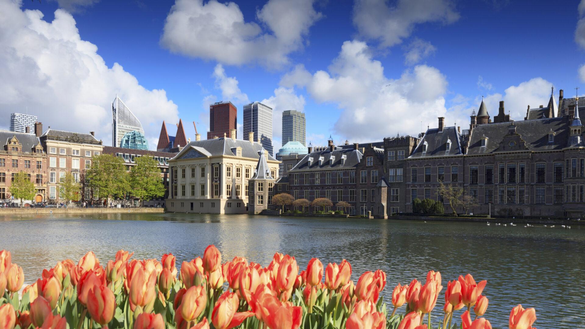 The Hague Wallpapers - Top Free The Hague Backgrounds - WallpaperAccess