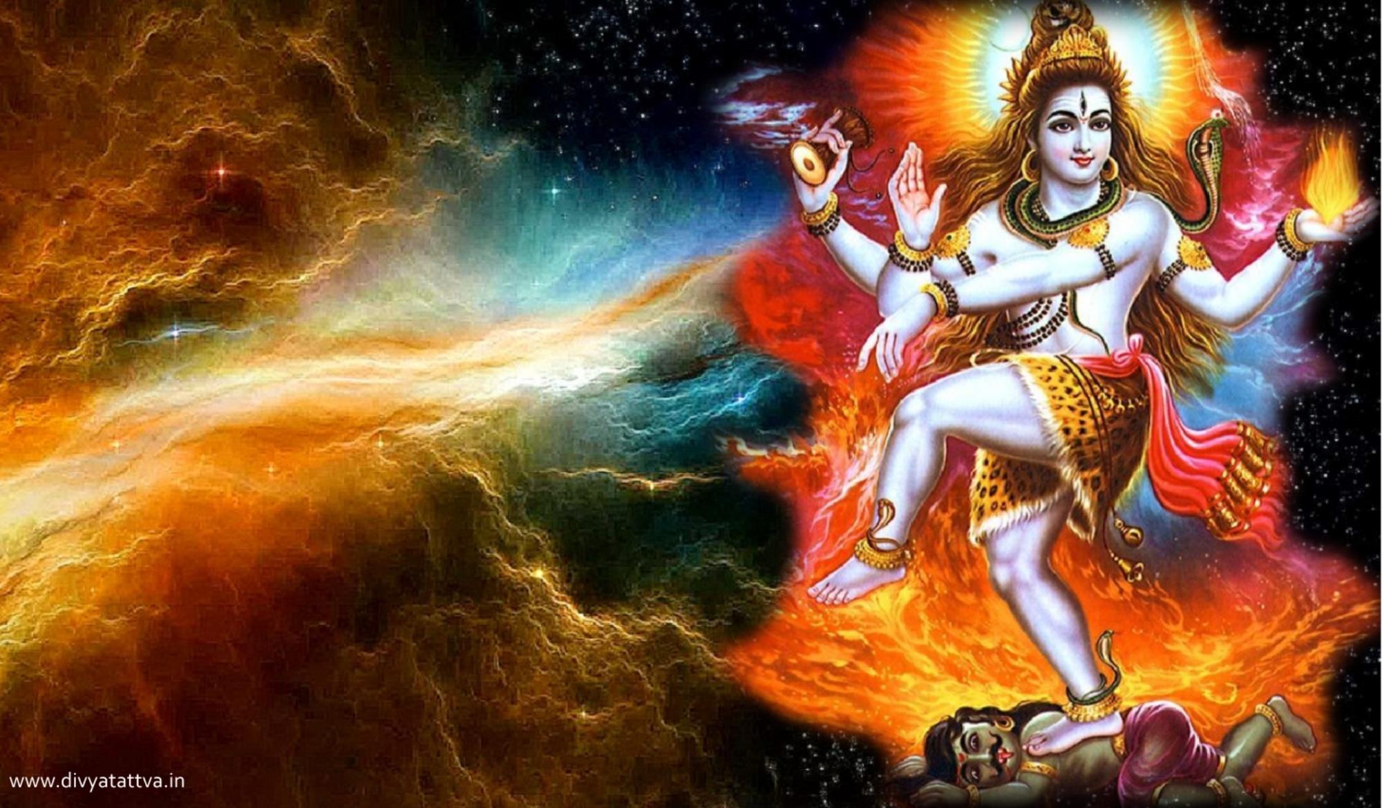 Sheeva Wallpapers - Top Free Sheeva Backgrounds - WallpaperAccess