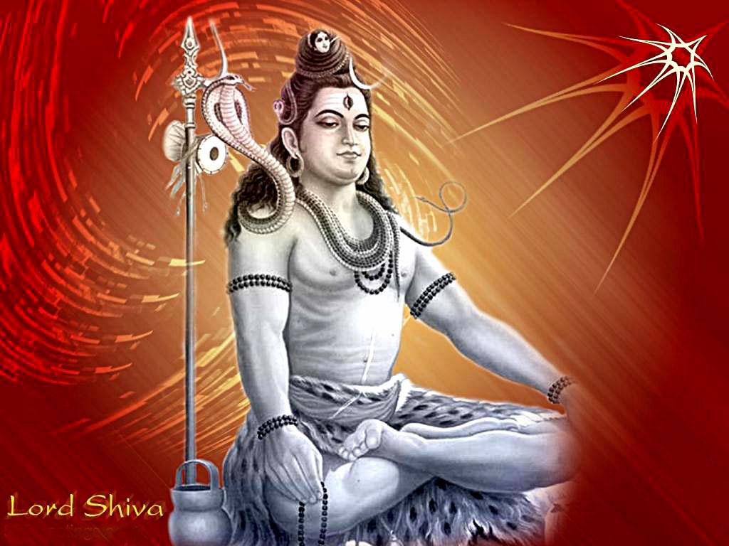 Sheeva Wallpapers - Top Free Sheeva Backgrounds - WallpaperAccess