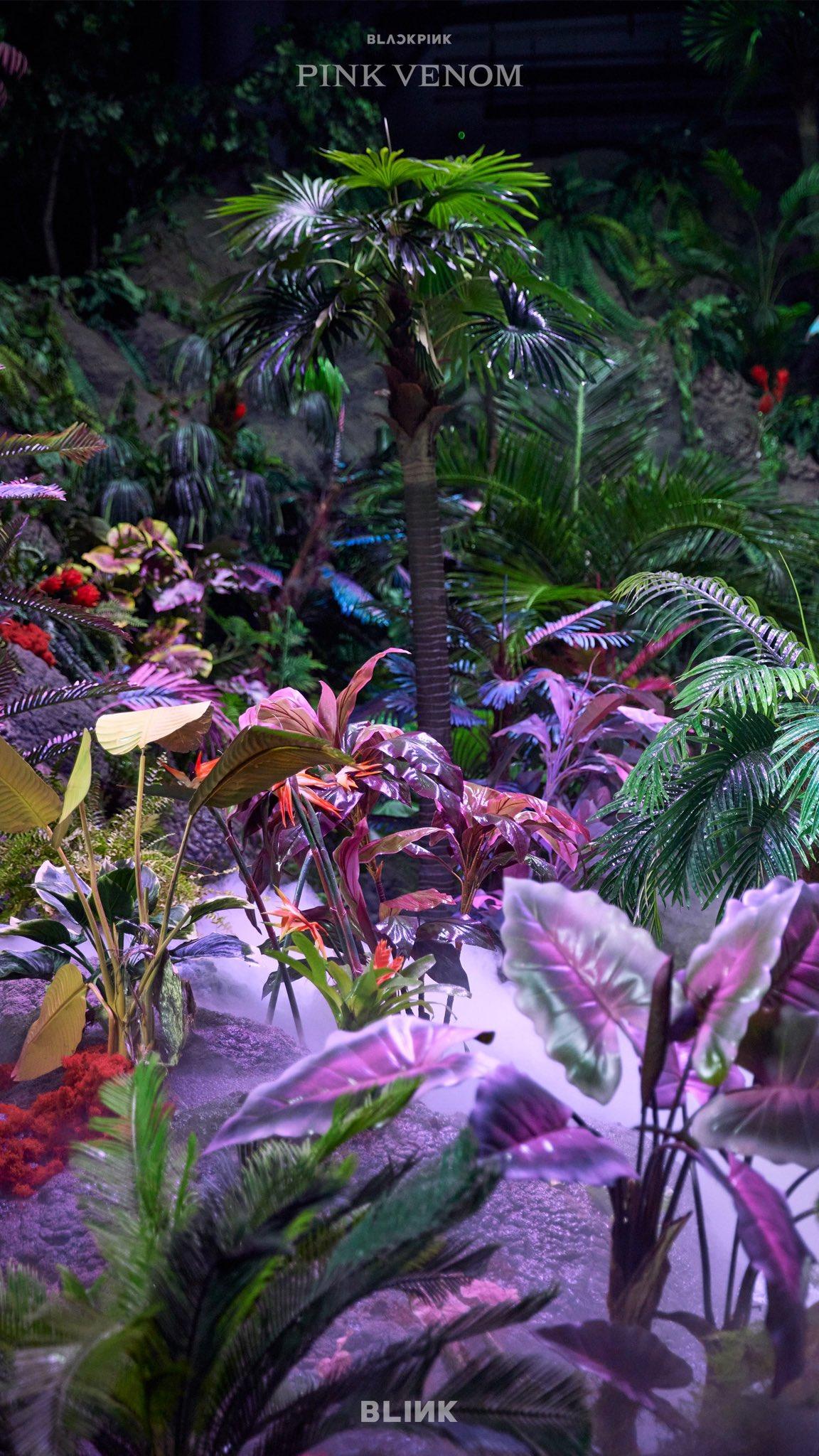 Blackpink Pink Venom Wallpapers - Top Free Blackpink Pink Venom ...