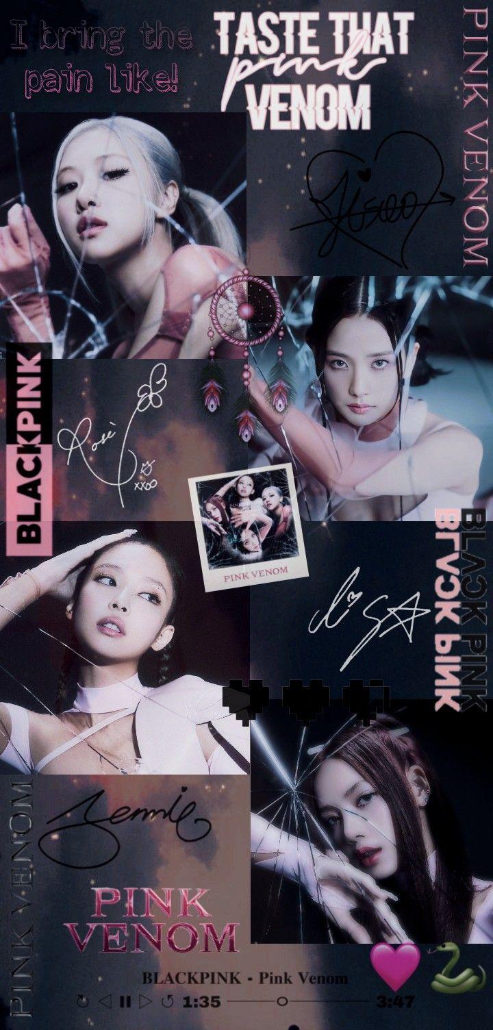Blackpink Pink Venom Wallpapers - Top Free Blackpink Pink Venom Backgrounds - WallpaperAccess