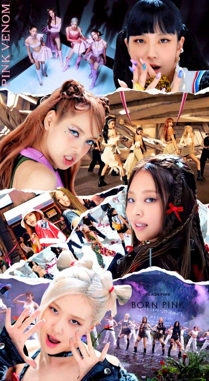 Born Pink Wallpapers - Top Free Born Pink Backgrounds - WallpaperAccess