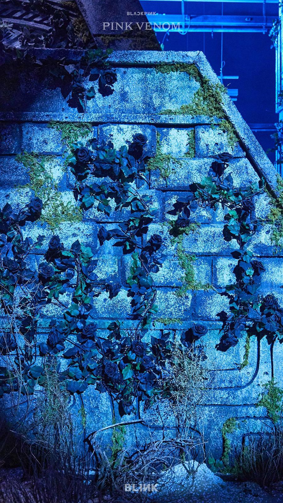Blackpink Pink Venom Wallpapers - Top Free Blackpink Pink Venom ...