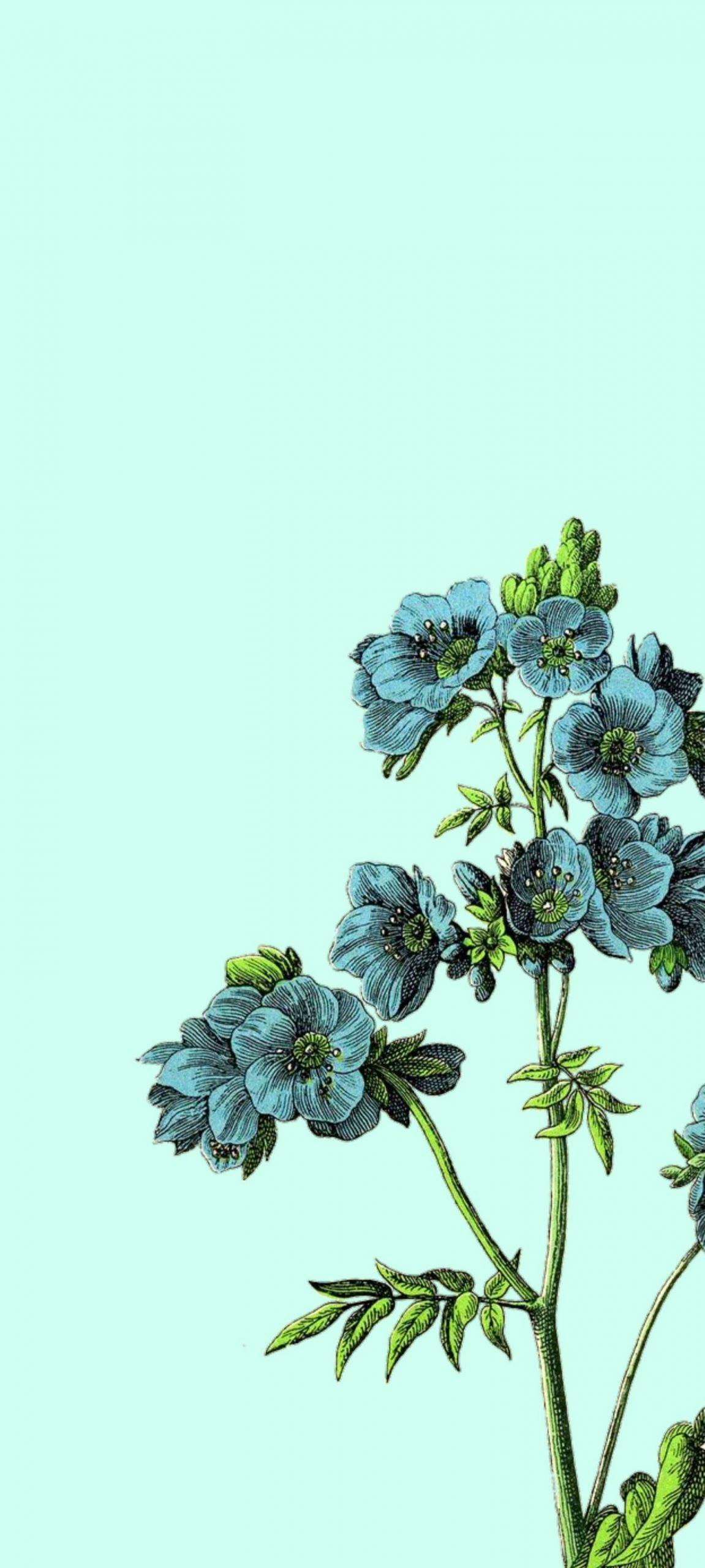 Android 13 Wallpapers - Top Free Android 13 Backgrounds - WallpaperAccess