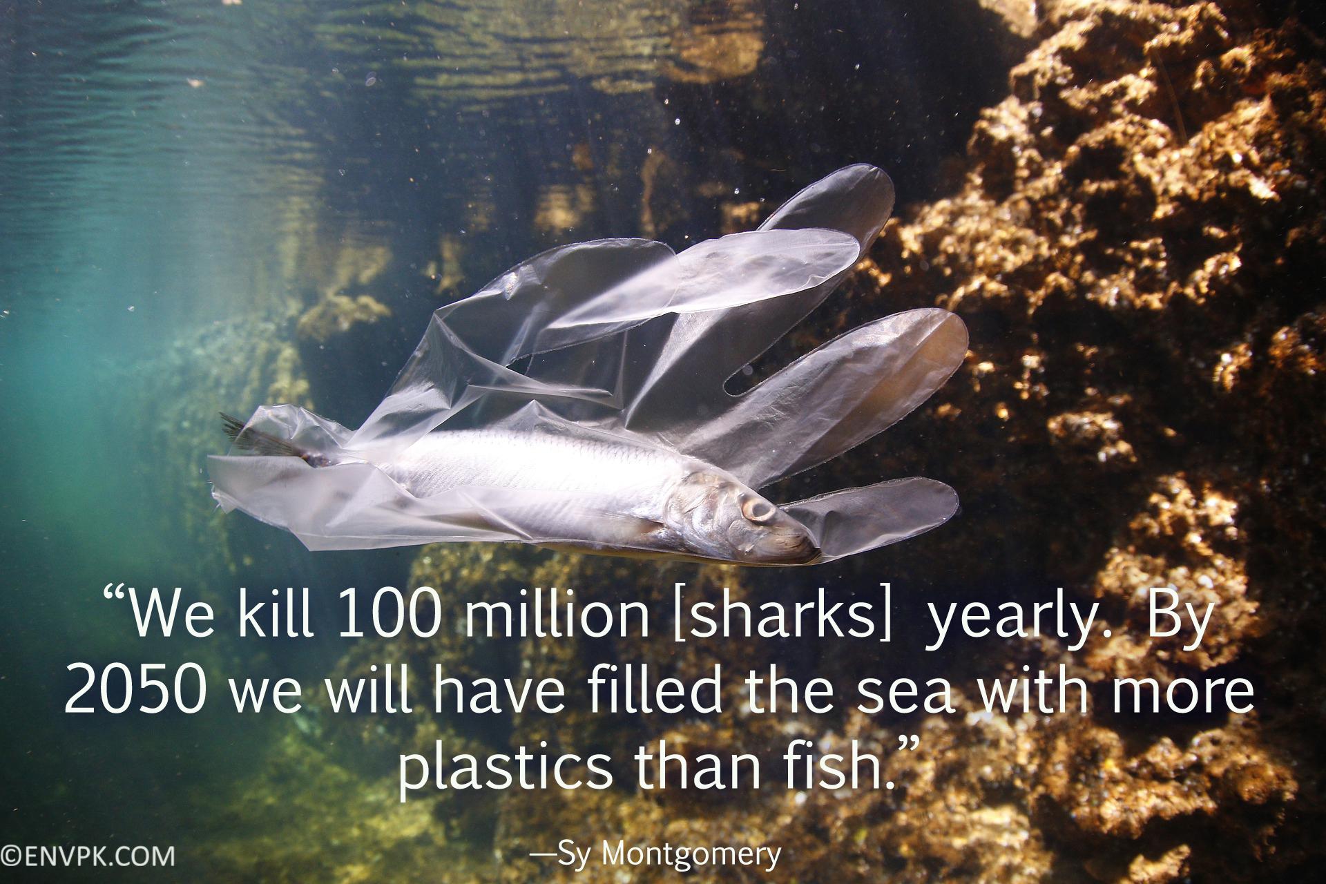 Land Pollution Wallpapers - Top Free Land Pollution Backgrounds ...