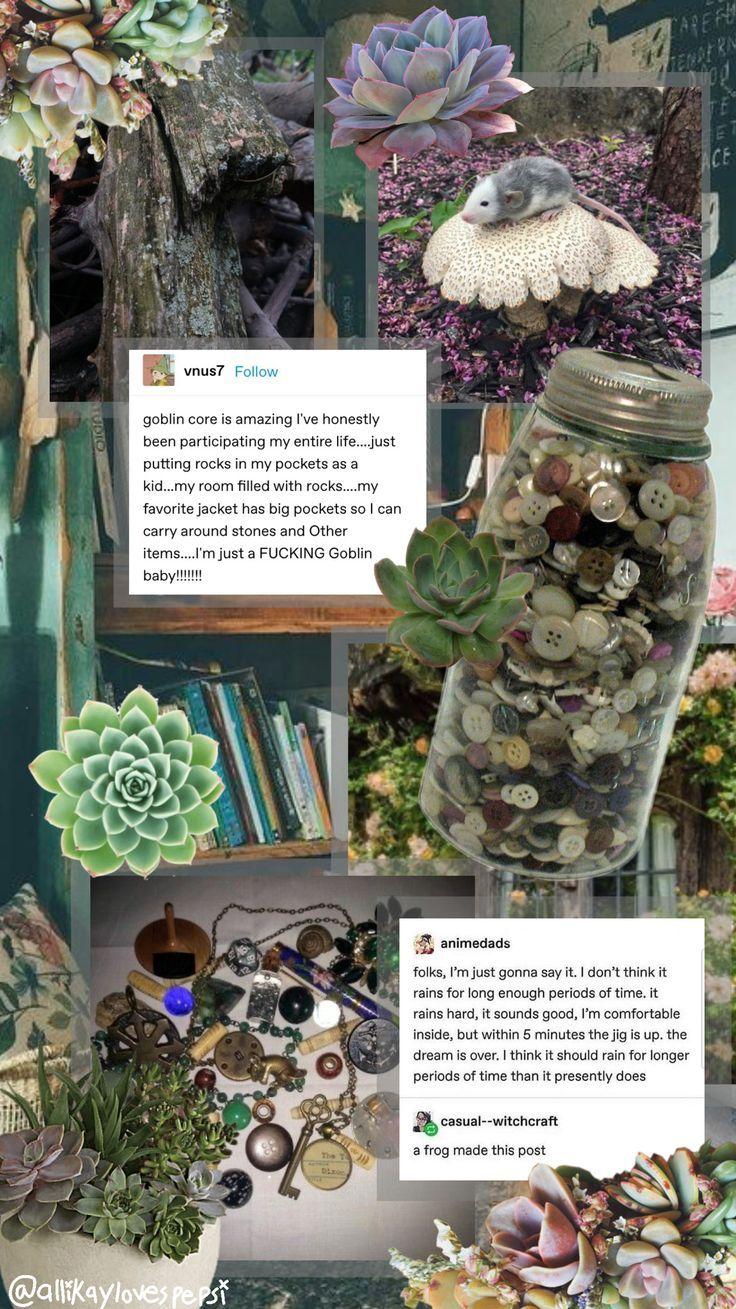 Goblincore Wallpapers - Top Free Goblincore Backgrounds - WallpaperAccess