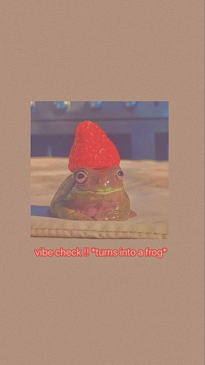 Goblincore Wallpapers - Top Free Goblincore Backgrounds - WallpaperAccess