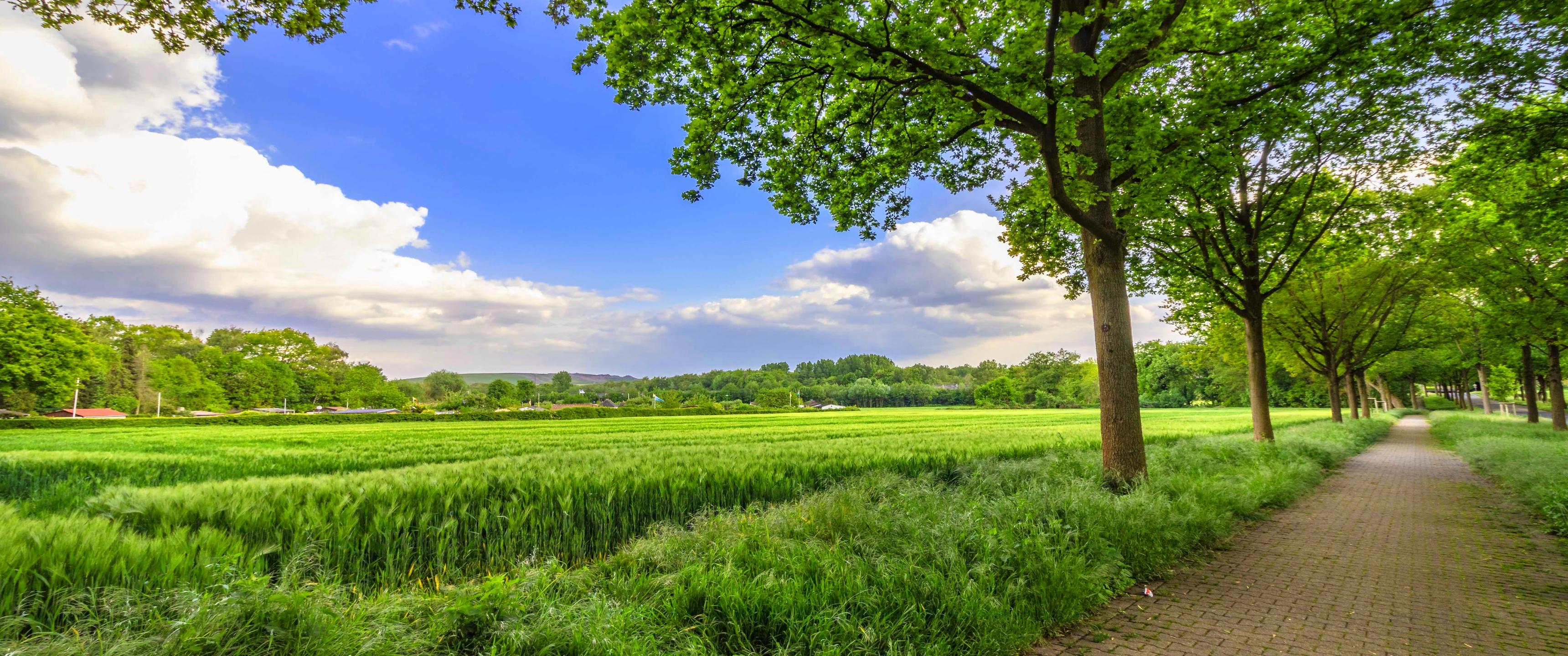 3440x1440 Nature Wallpapers - Top Free 3440x1440 Nature Backgrounds ...