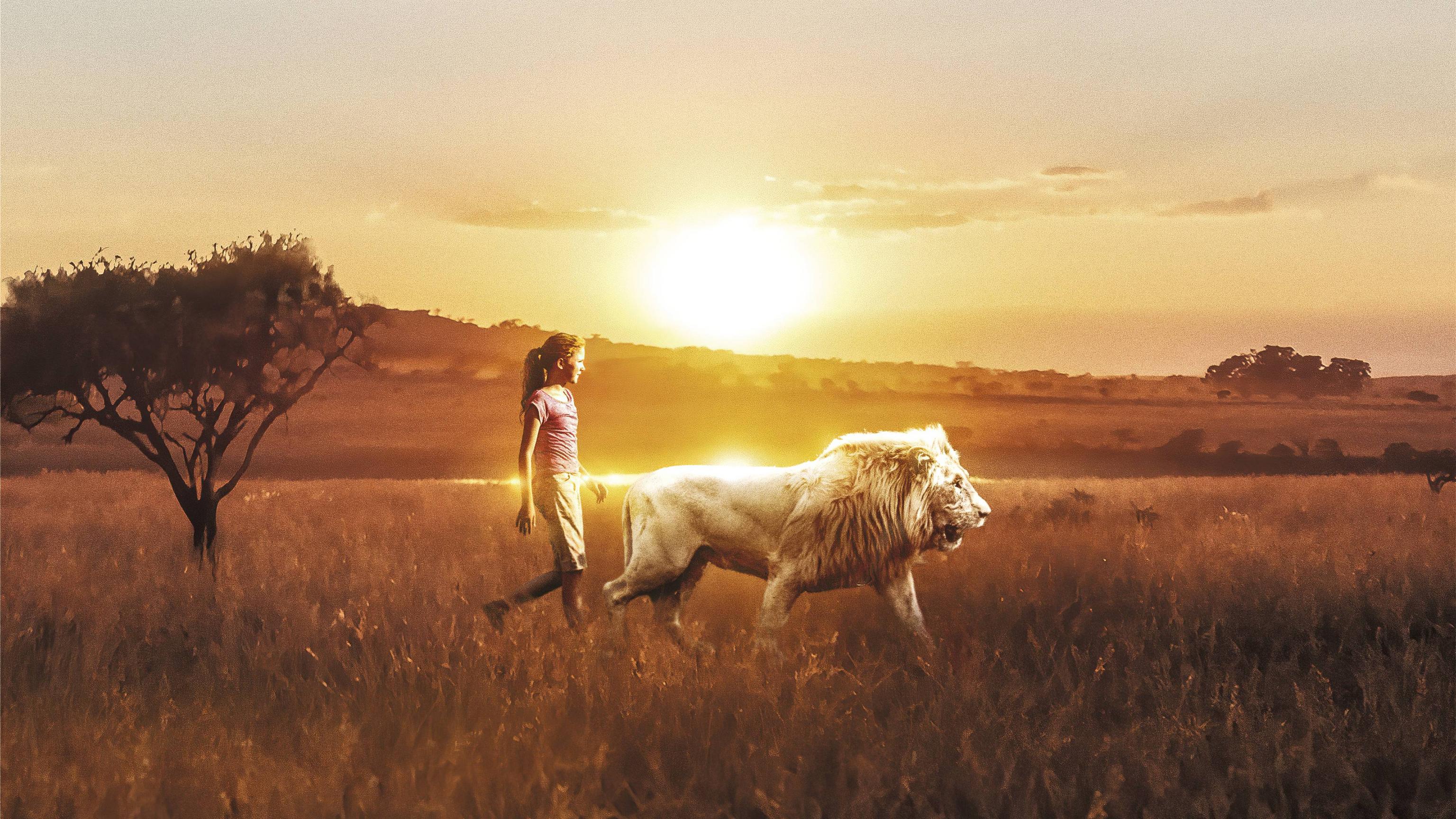 Lion and Sun Wallpapers - Top Free Lion and Sun Backgrounds ...