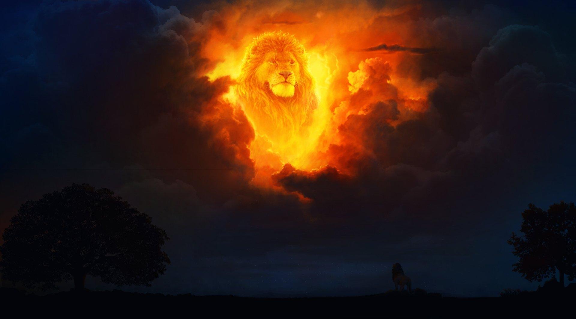 Lion and Sun Wallpapers - Top Free Lion and Sun Backgrounds ...