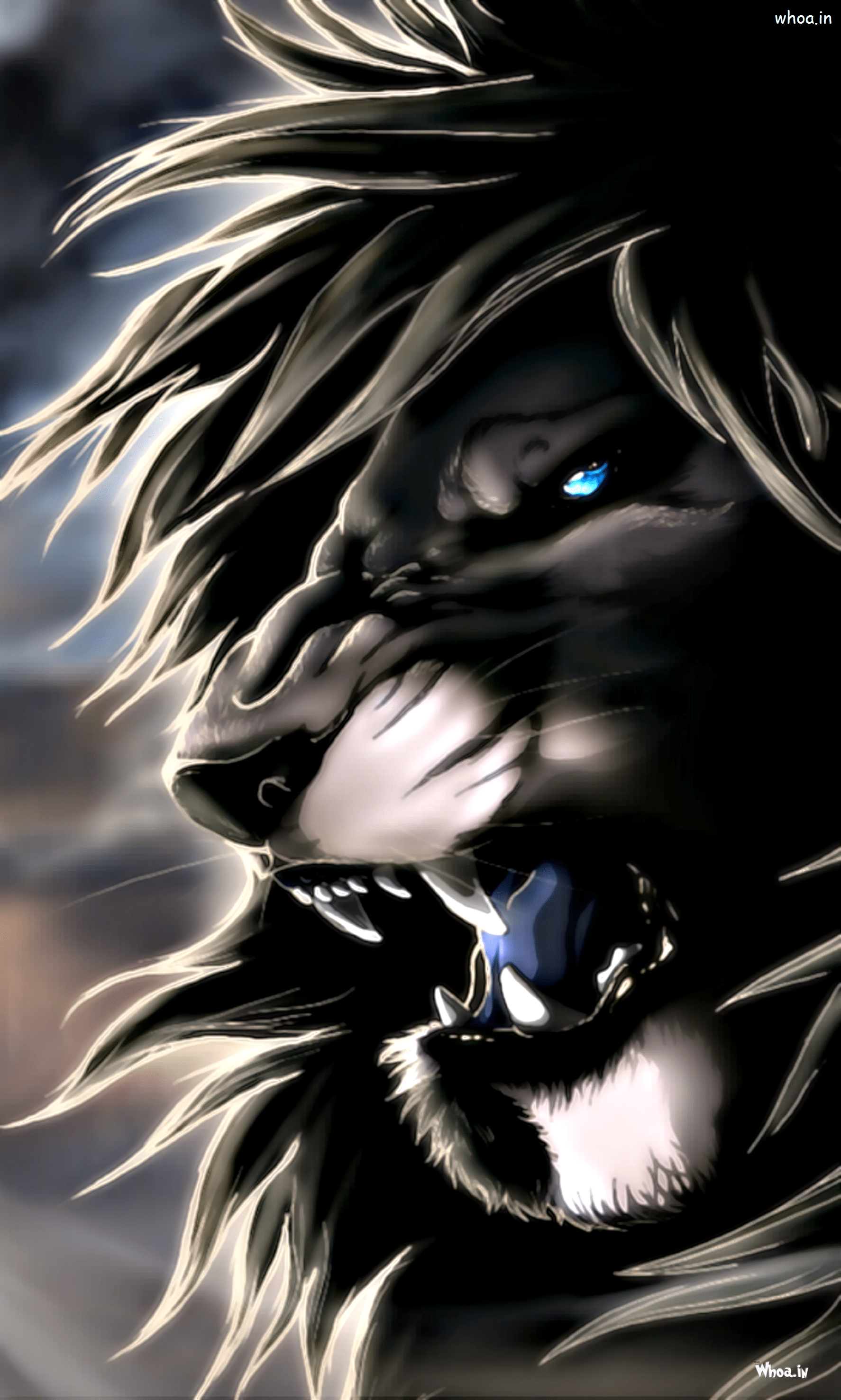 Lion and Sun Wallpapers - Top Free Lion and Sun Backgrounds ...