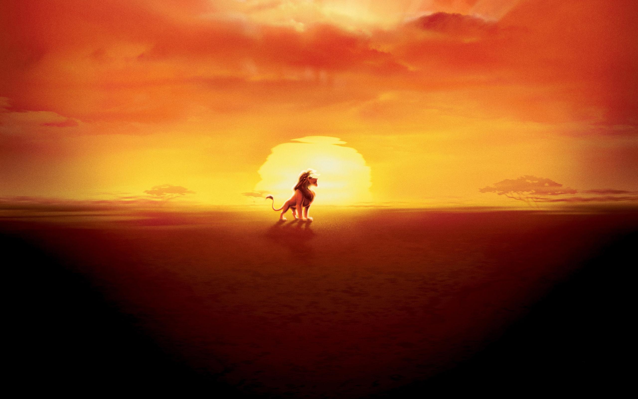 Lion and Sun Wallpapers - Top Free Lion and Sun Backgrounds ...