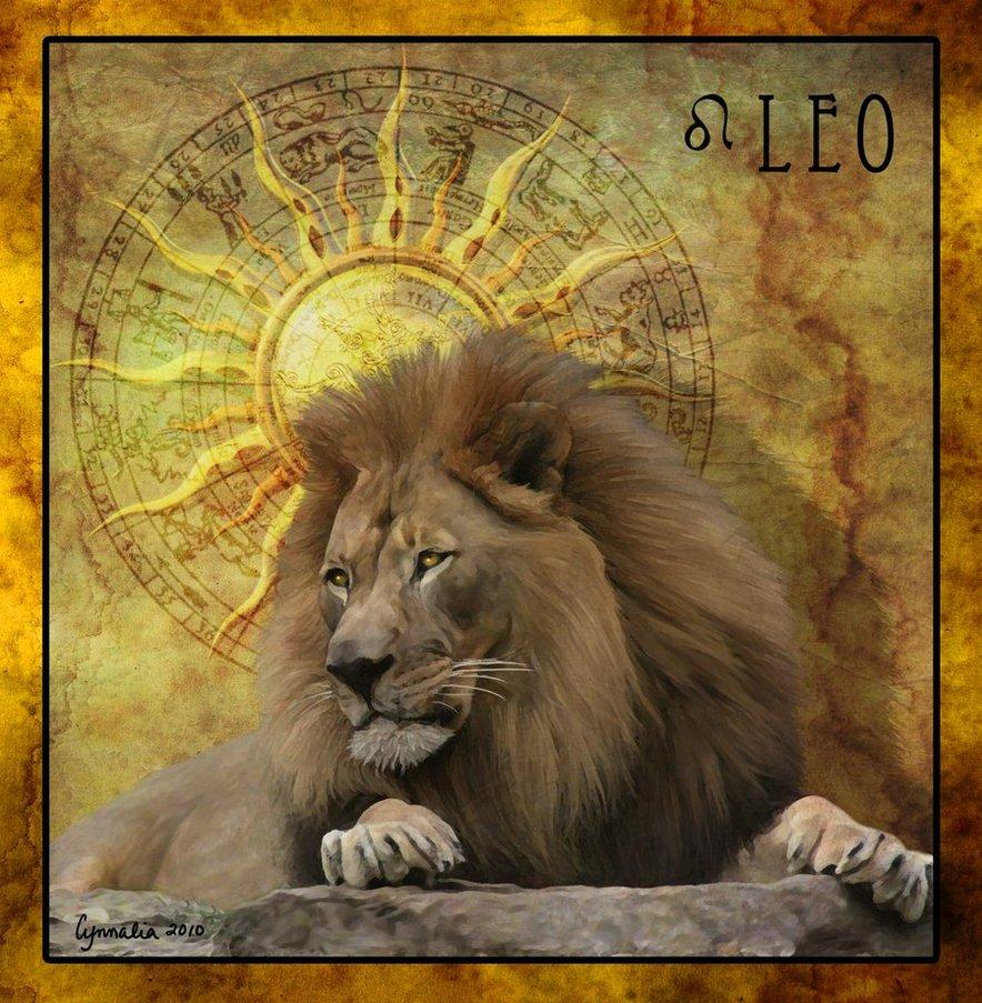 Lion and Sun Wallpapers - Top Free Lion and Sun Backgrounds ...