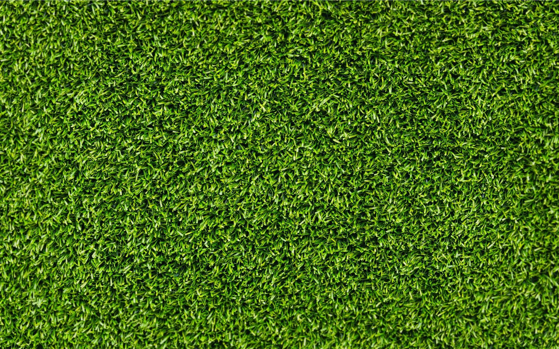 Grass Texture Wallpapers - Top Free Grass Texture Backgrounds ...
