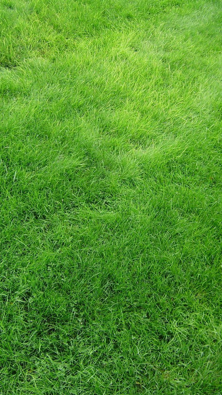 Grass Texture Wallpapers - Top Free Grass Texture Backgrounds ...