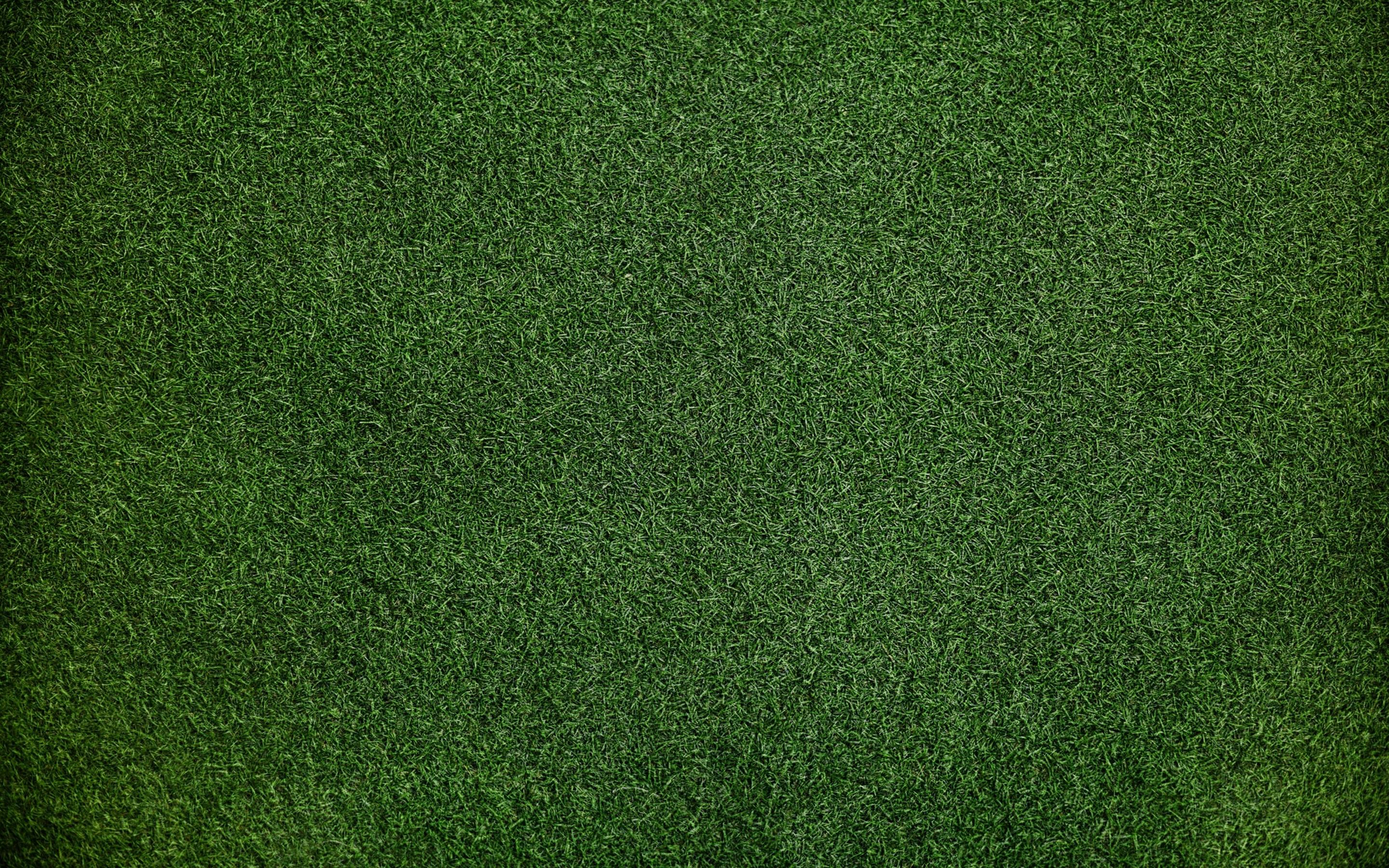 Grass Texture Wallpapers - Top Free Grass Texture Backgrounds ...