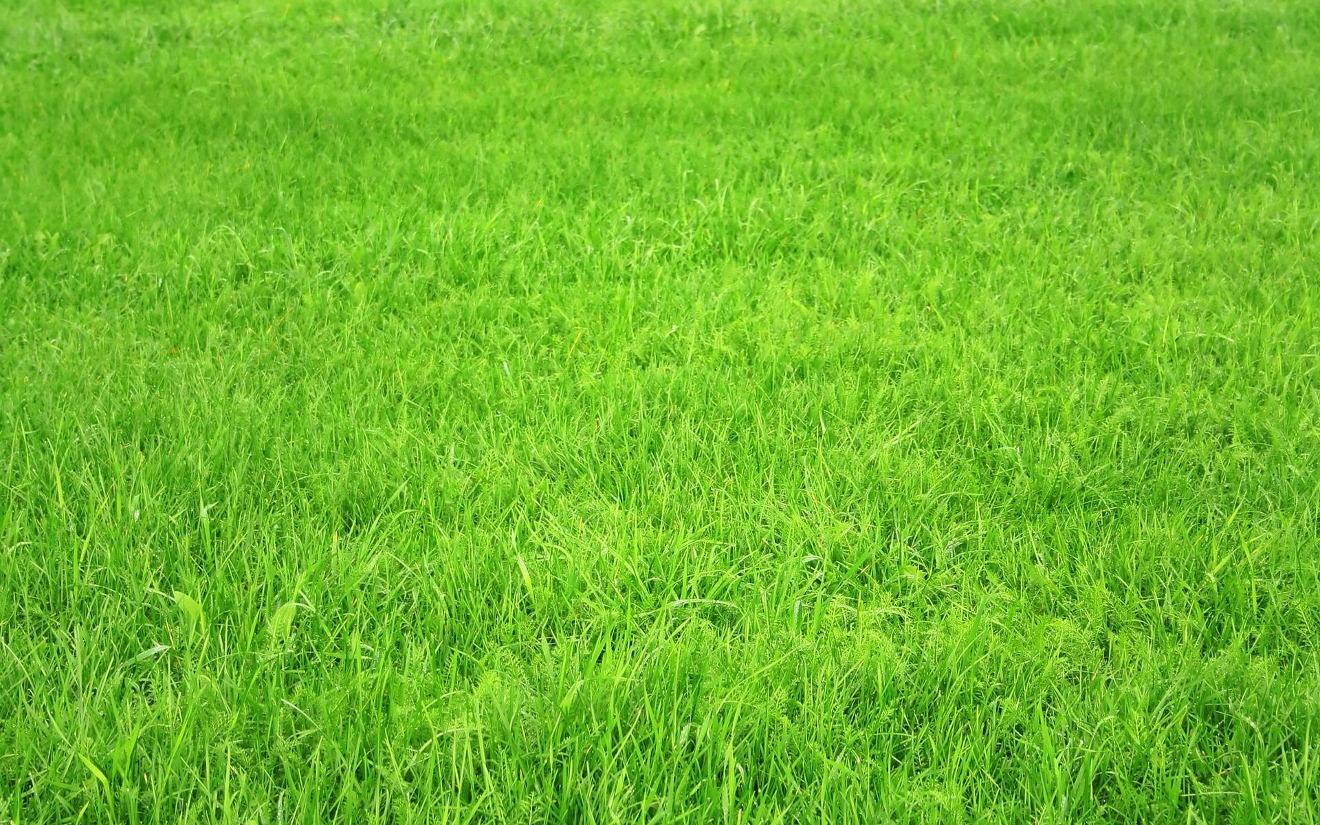 Grass Texture Wallpapers - Top Free Grass Texture Backgrounds ...