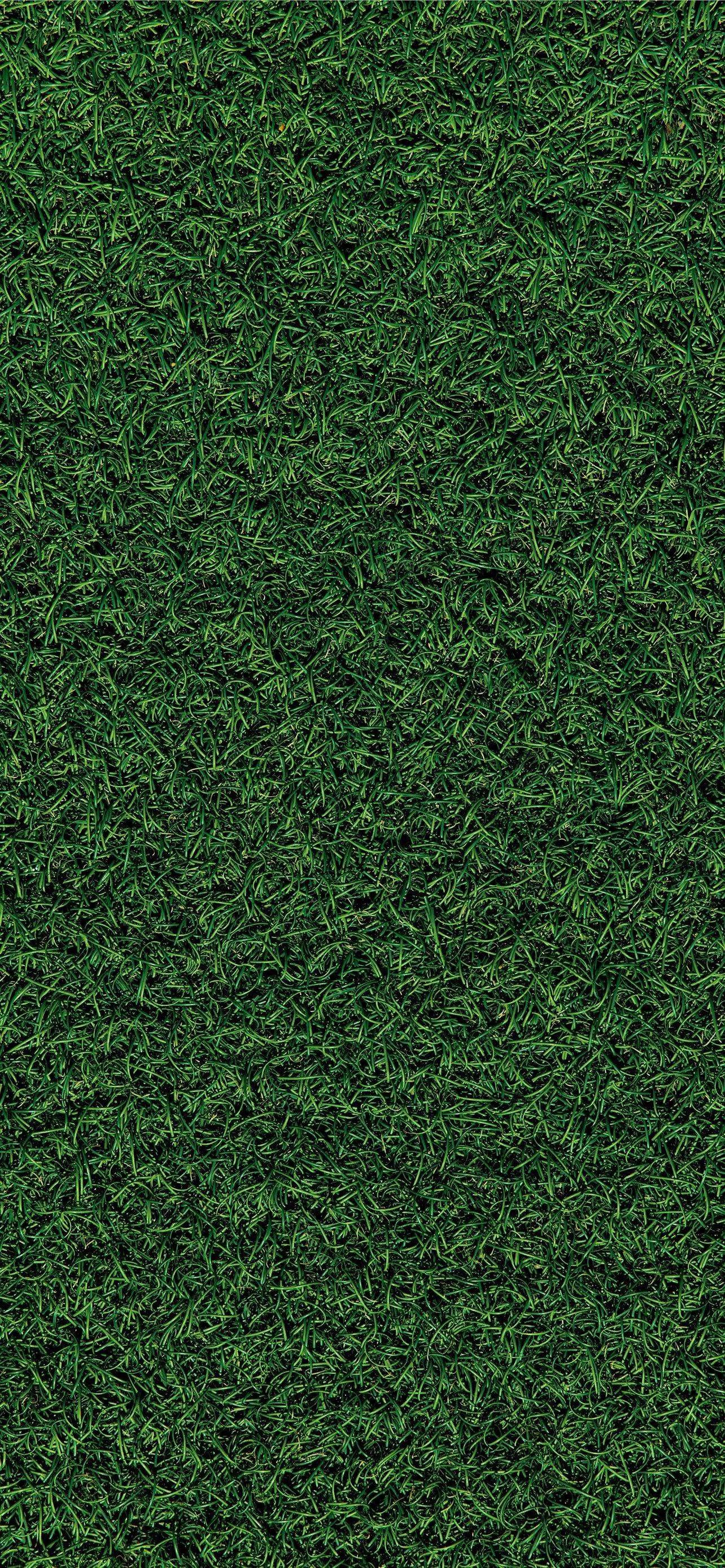 Turf Wallpapers - Top Free Turf Backgrounds - WallpaperAccess