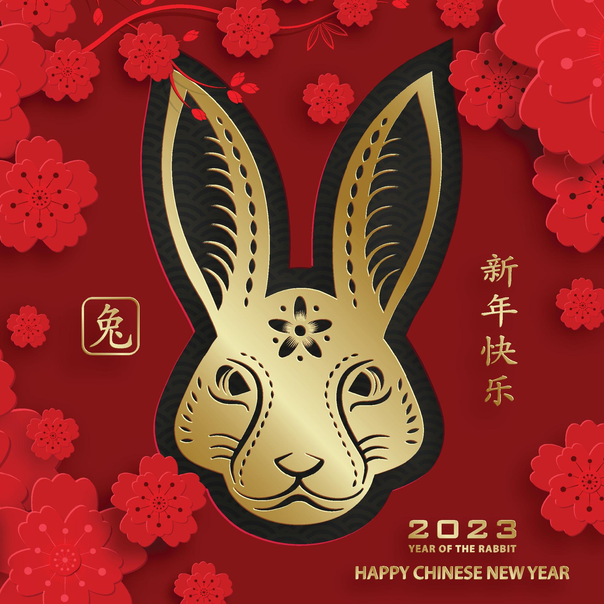 Year of the Rabbit Wallpapers - Top Free Year of the Rabbit Backgrounds ...