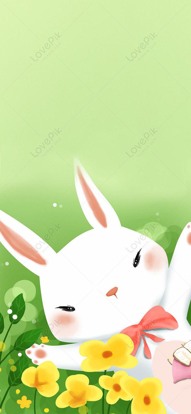 Rabbit Phone Wallpapers - Top Free Rabbit Phone Backgrounds ...