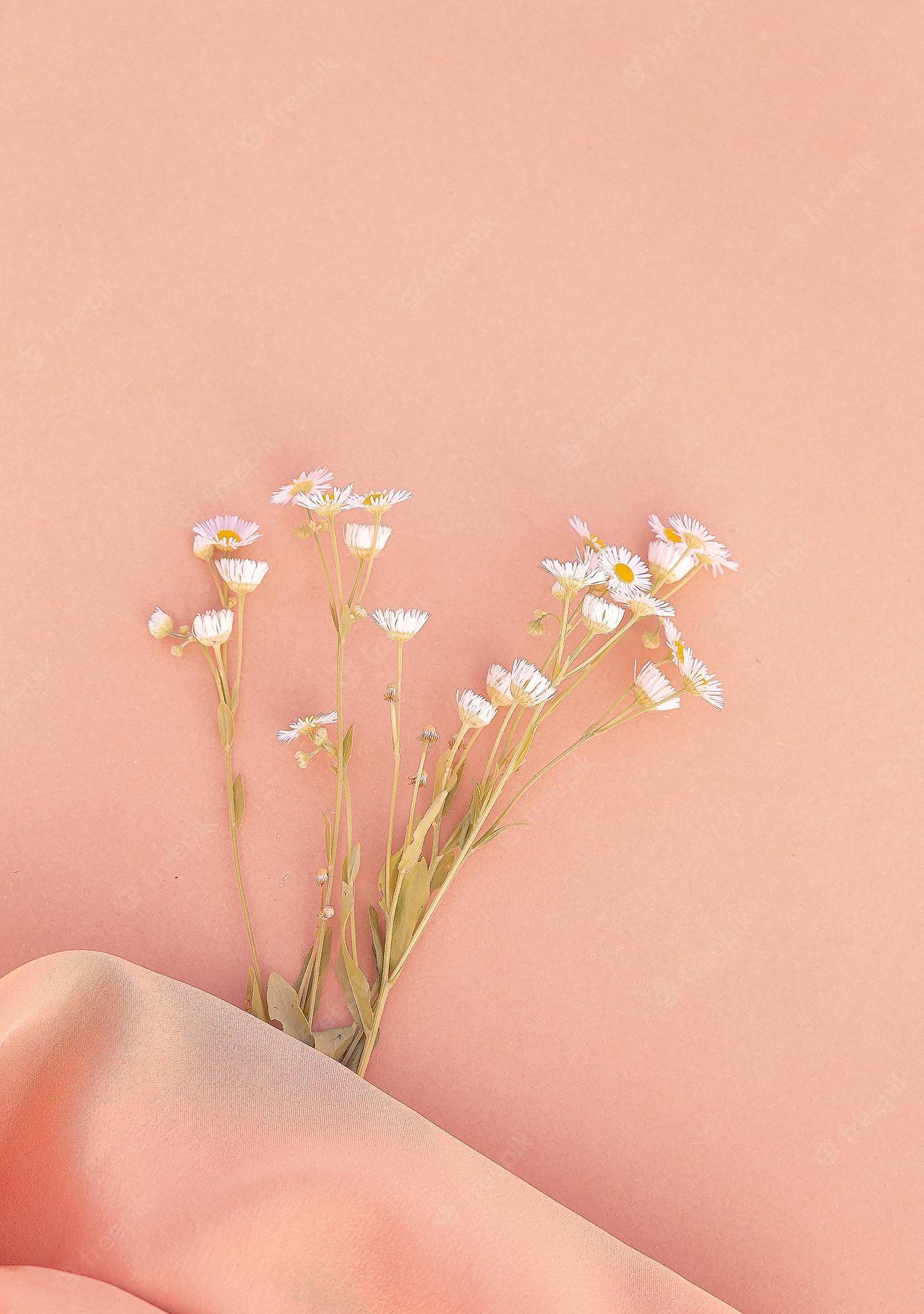 Wildflower Aesthetic Wallpapers - Top Free Wildflower Aesthetic ...