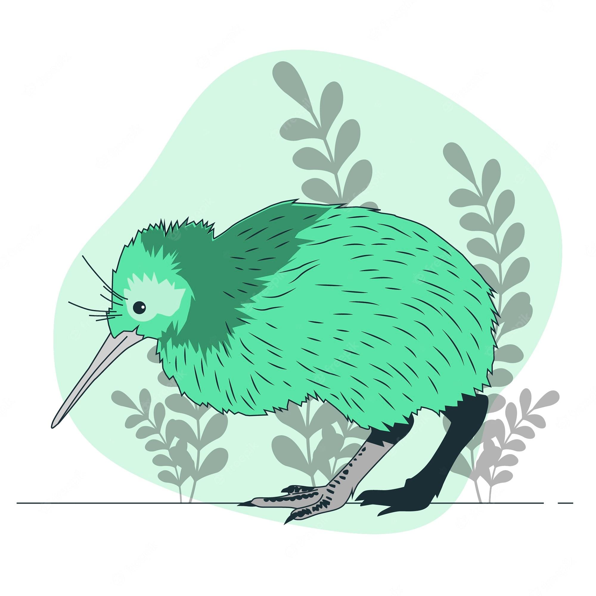 Kiwi Bird Wallpapers - Top Free Kiwi Bird Backgrounds - WallpaperAccess