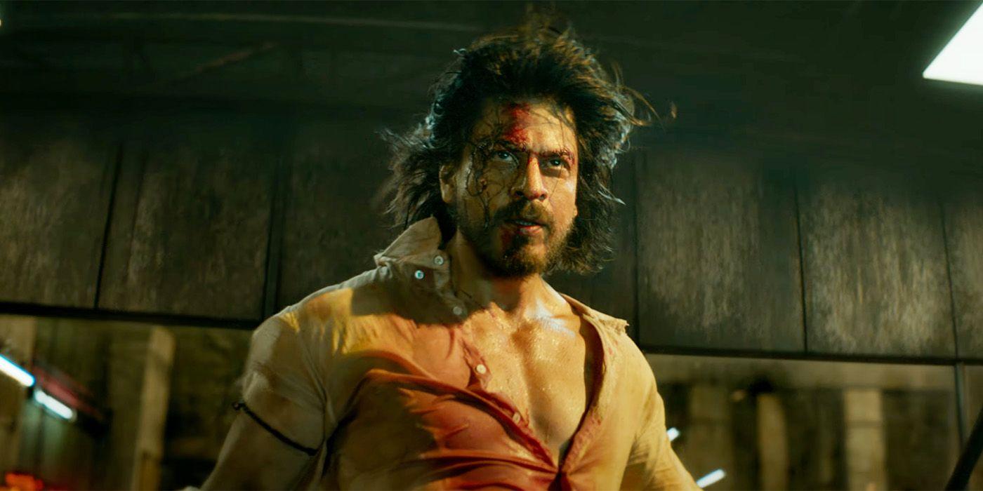 Pathaan Wallpapers - Top Free Pathaan Backgrounds - WallpaperAccess