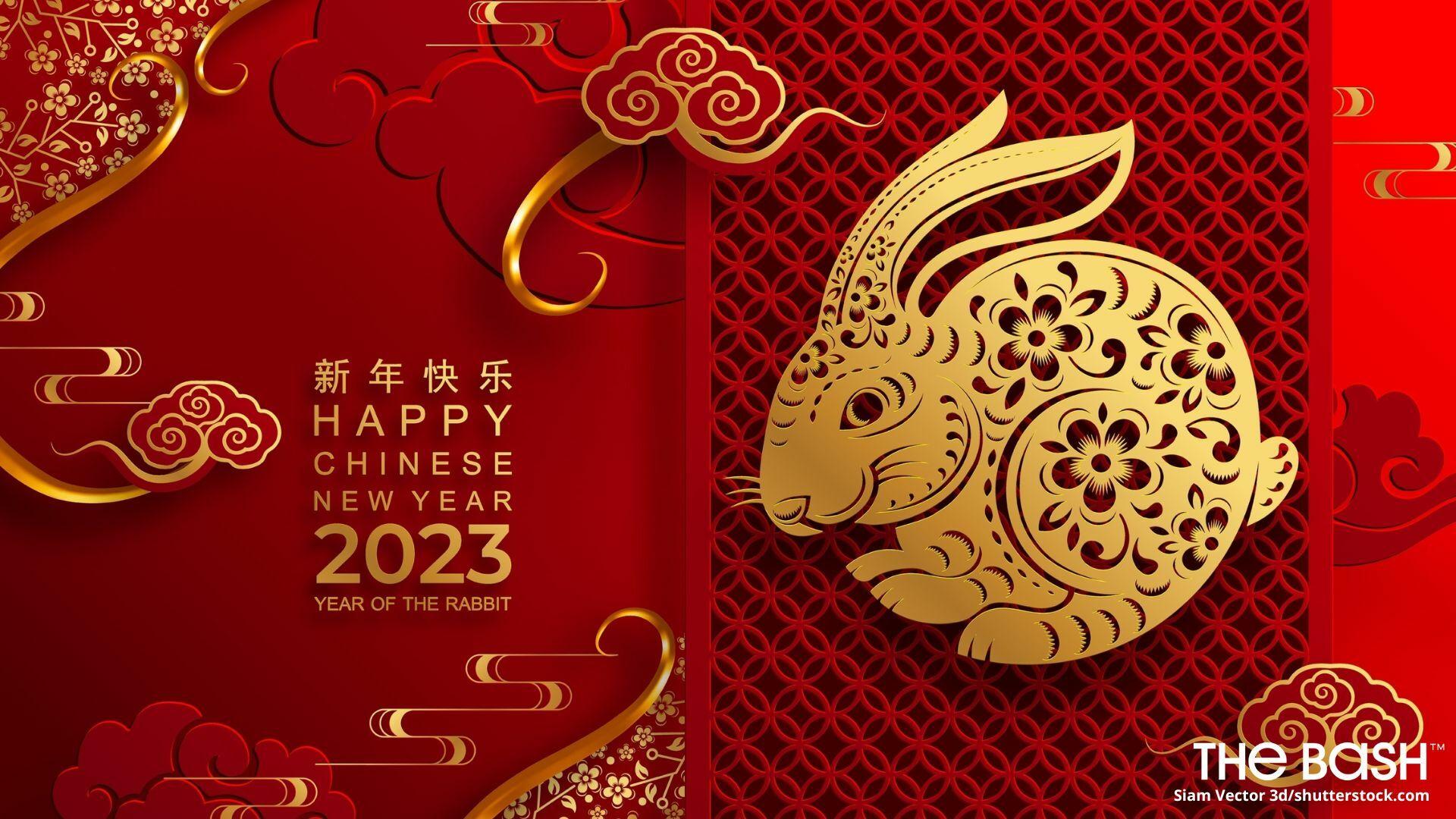 Chinese New Year 2023 Wallpapers - Top Free Chinese New Year 2023 ...