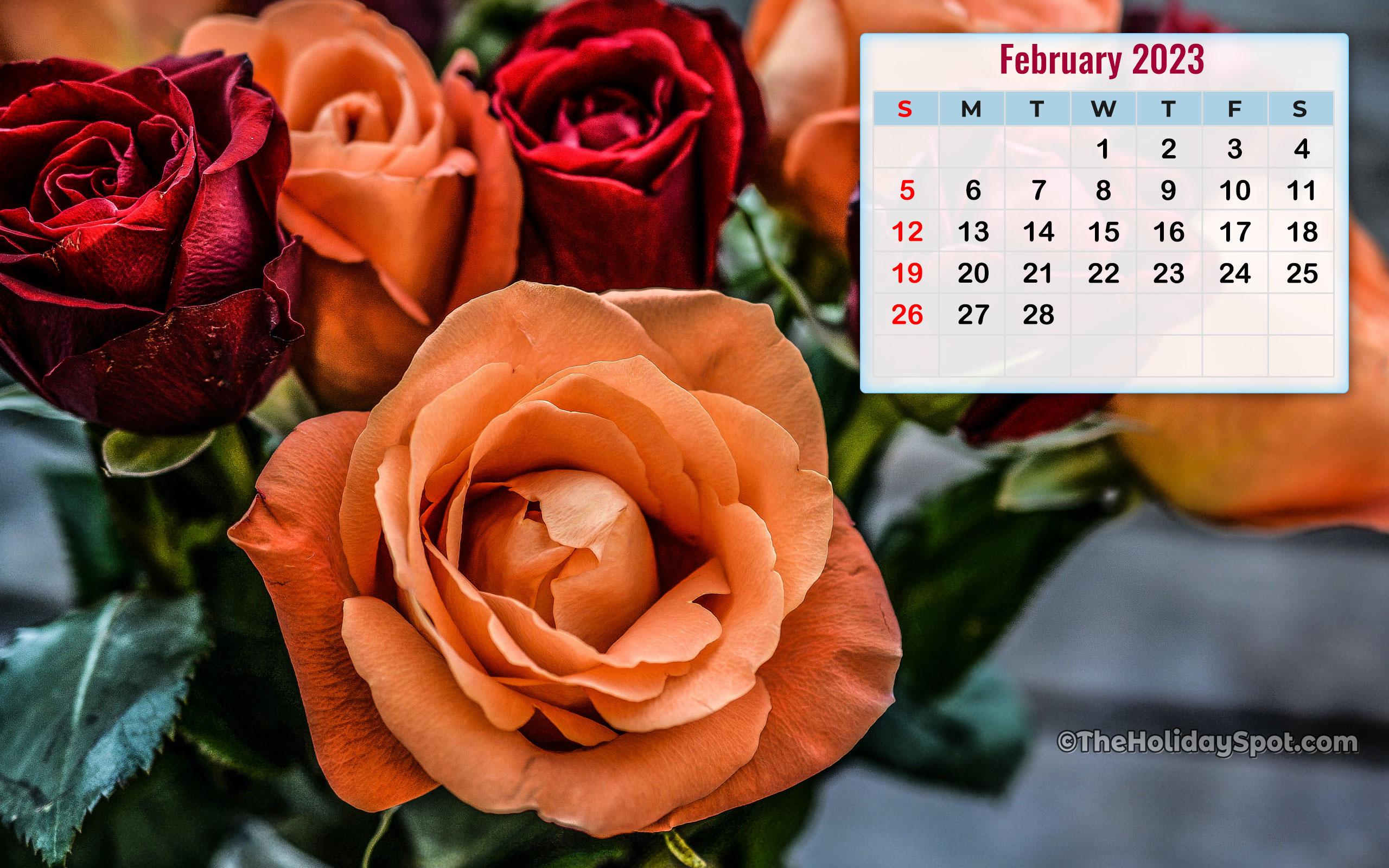 February 2023 Calendar Wallpapers - Top Free February 2023 Calendar ...