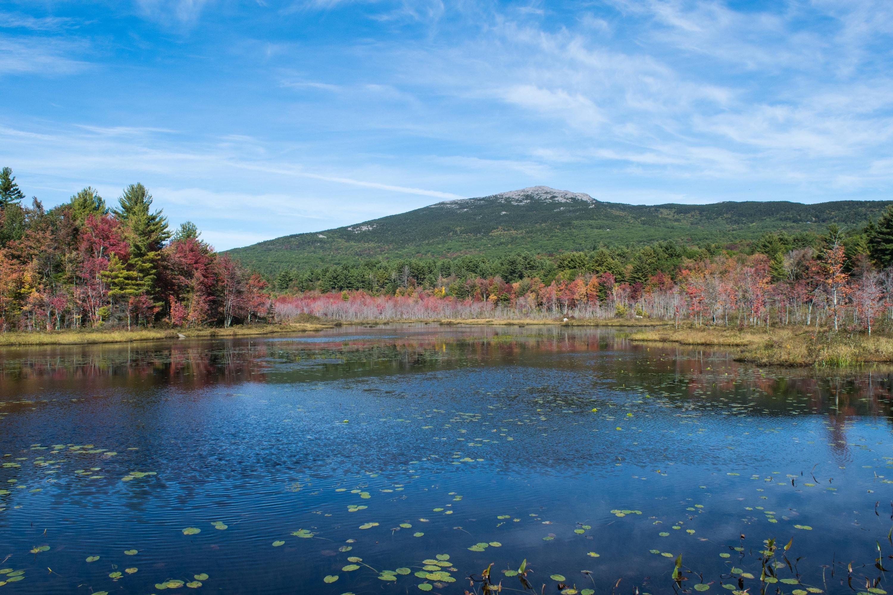 3000x2000 Wallpapers - Top Free 3000x2000 Backgrounds - WallpaperAccess