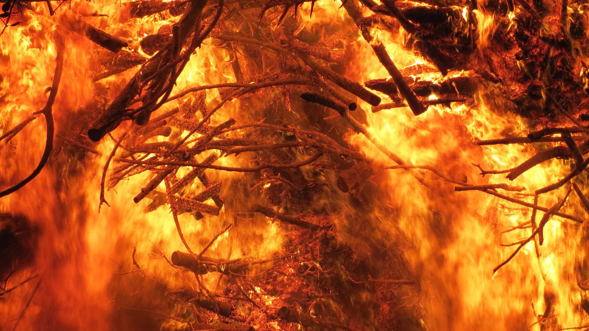 Wildfire 4K Wallpapers - Top Free Wildfire 4K Backgrounds - WallpaperAccess