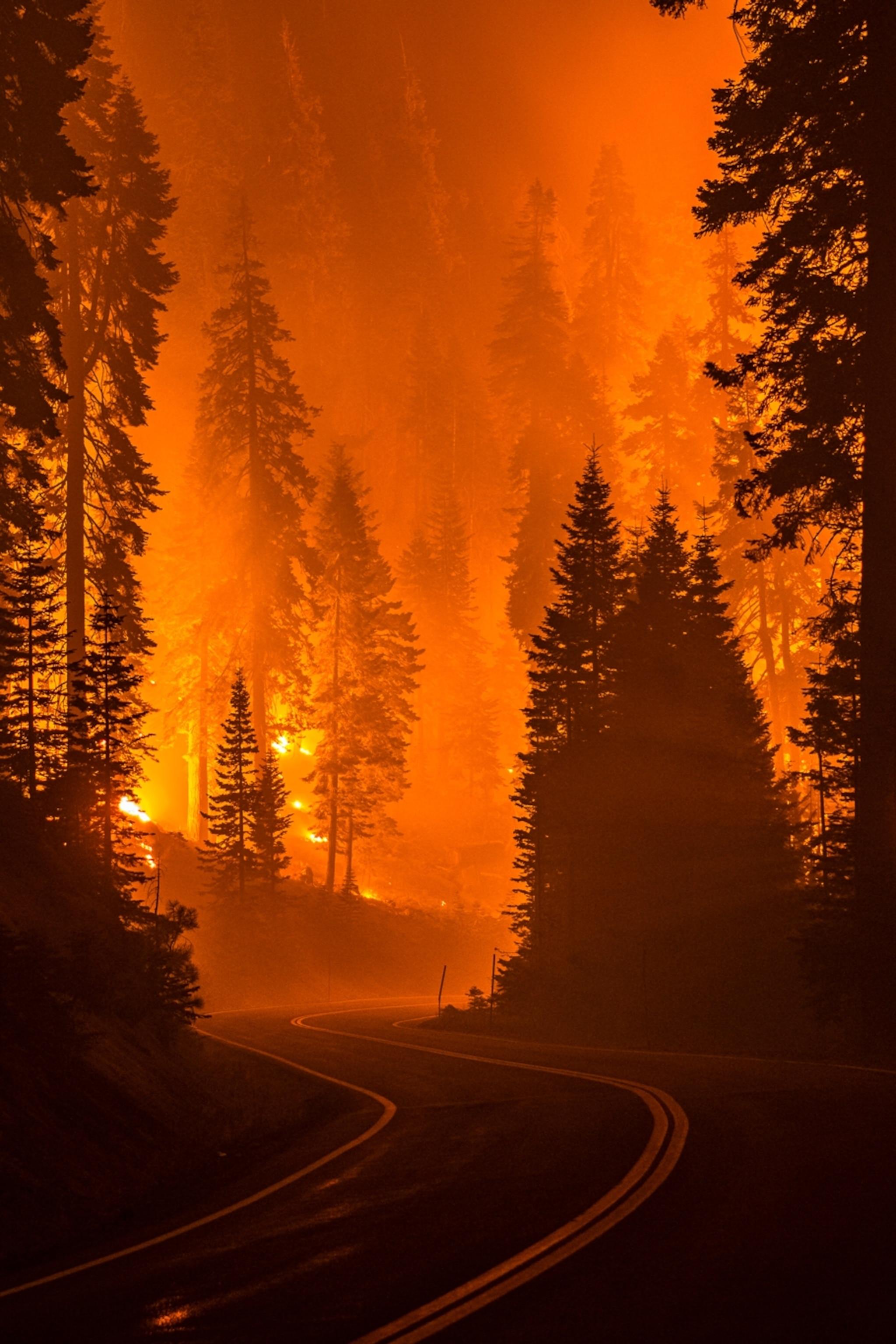 Wildfire 4K Wallpapers - Top Free Wildfire 4K Backgrounds - WallpaperAccess