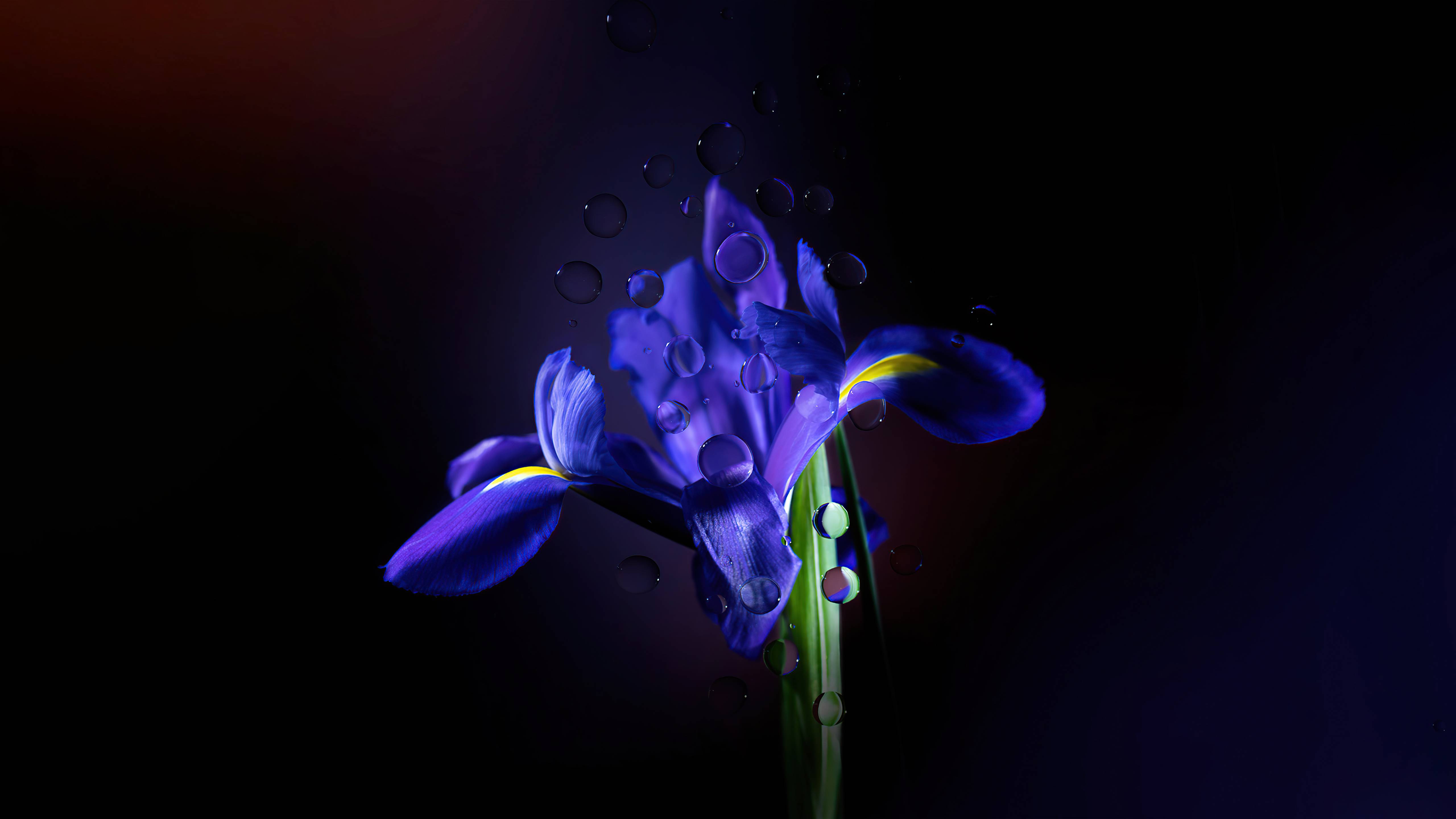 Google Chromebook Wallpapers - Top Free Google Chromebook Backgrounds ...