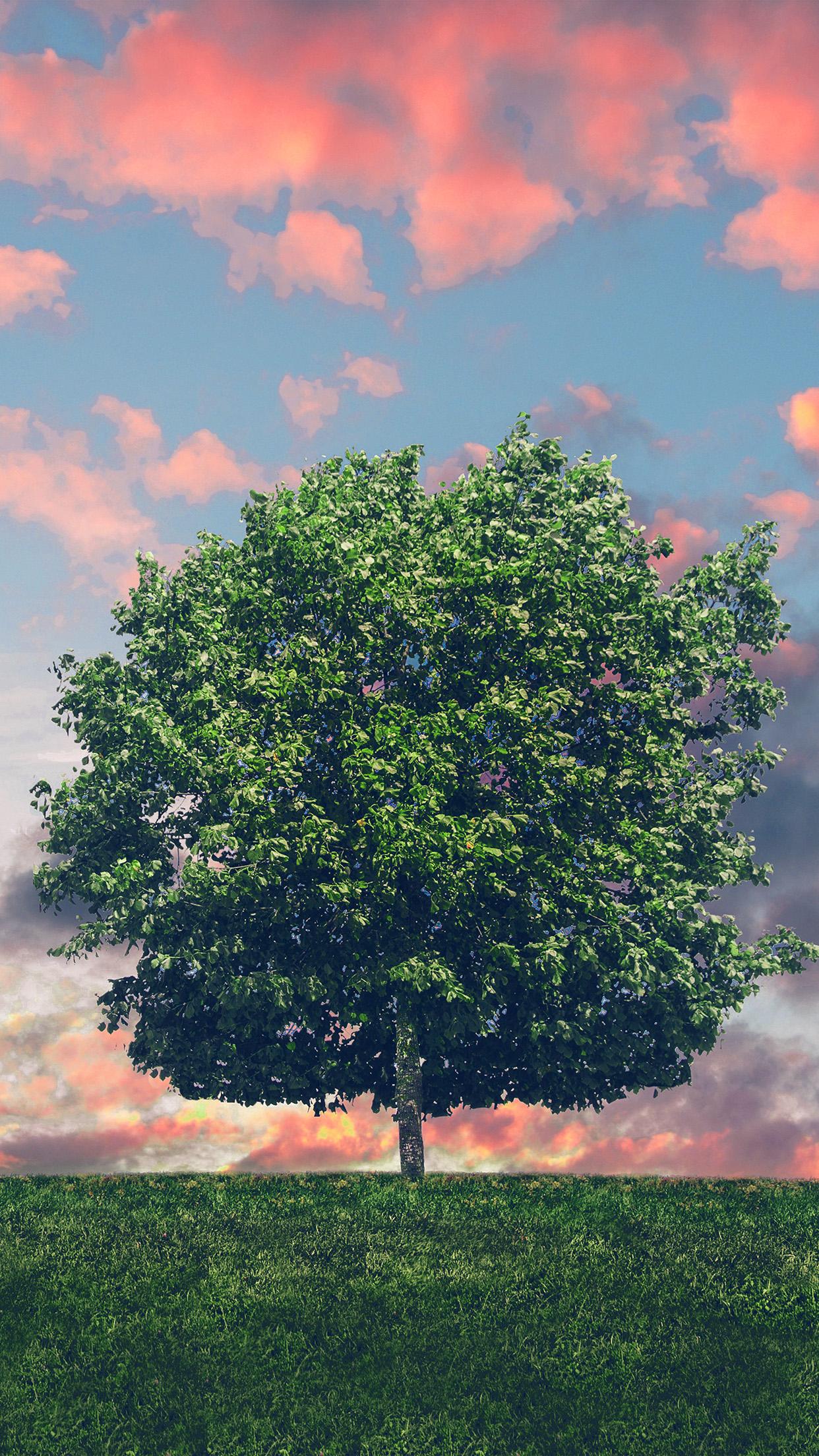 Nature Green Tree Wallpapers - Top Free Nature Green Tree Backgrounds ...