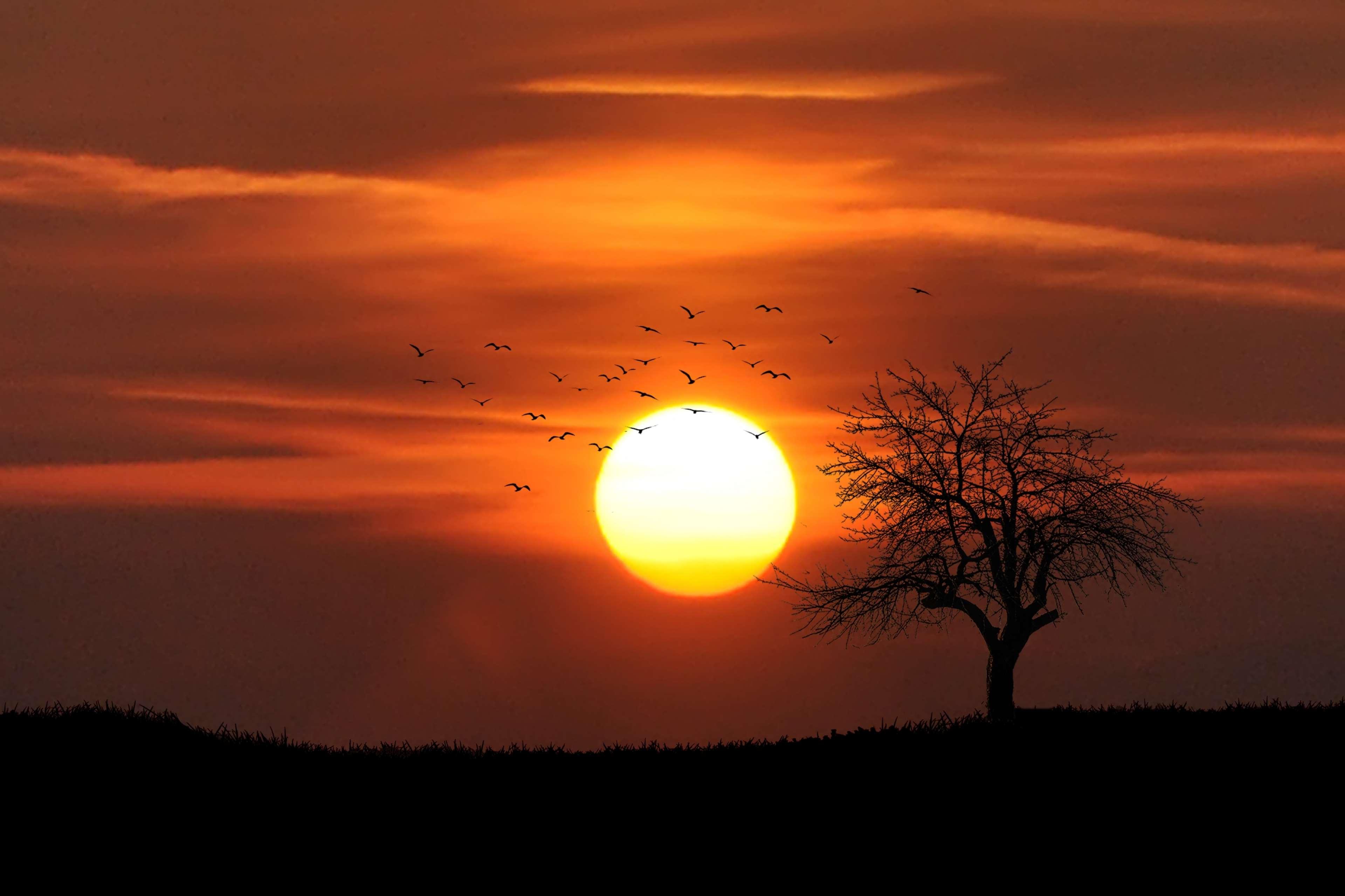 Sunrise Sunset Spring Wallpapers - Top Free Sunrise Sunset Spring ...