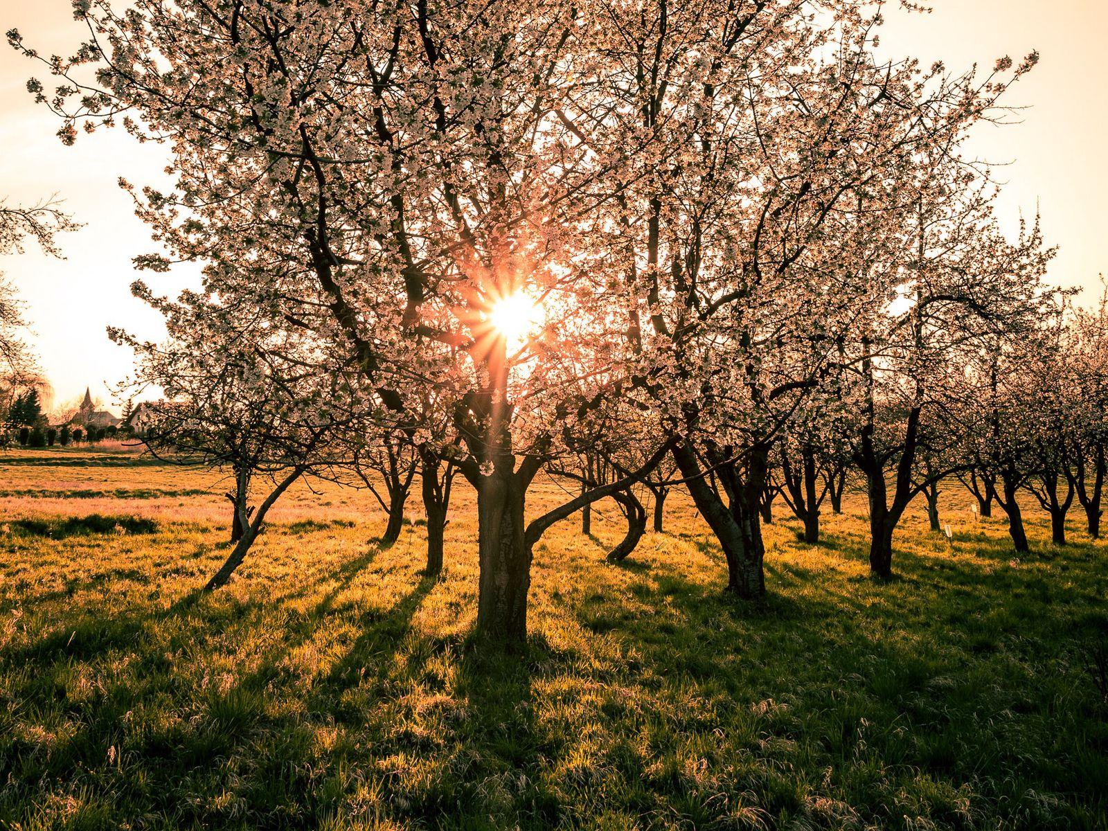 Sunrise Sunset Spring Wallpapers - Top Free Sunrise Sunset Spring ...