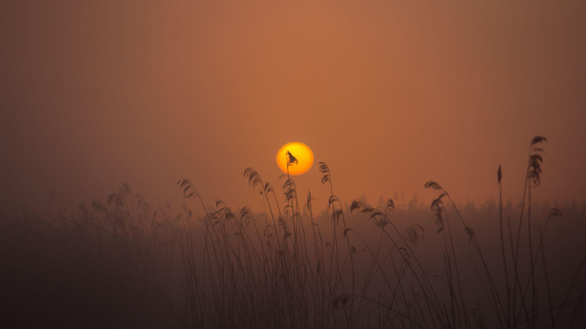 Sunrise Sunset Spring Wallpapers - Top Free Sunrise Sunset Spring ...