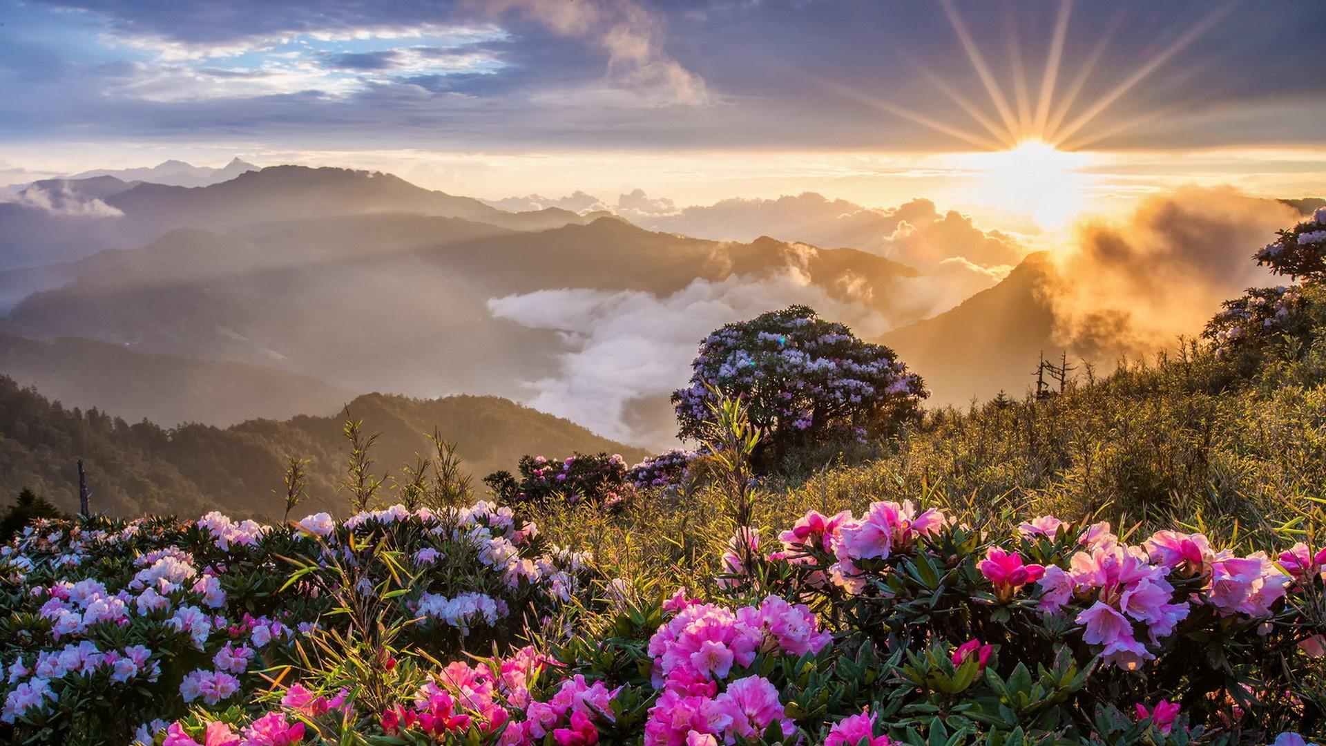 Sunrise Sunset Spring Wallpapers - Top Free Sunrise Sunset Spring ...